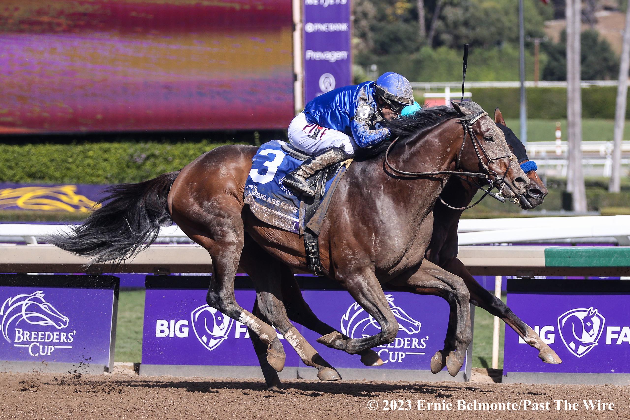 Trainer Bill Mott Wins Three Championships Races - Past The Wire