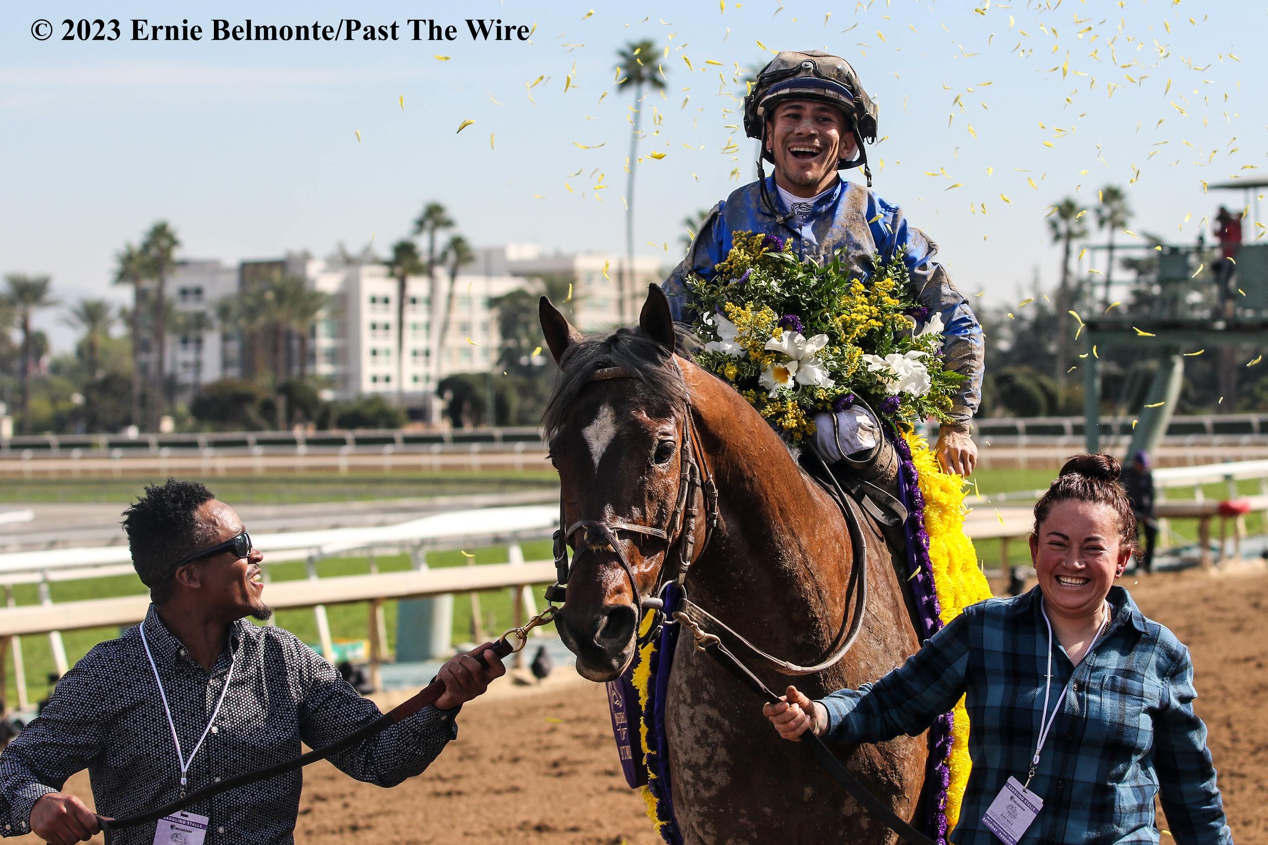 Cody’s Wish Receives Horse of the Year Honors - Past The Wire