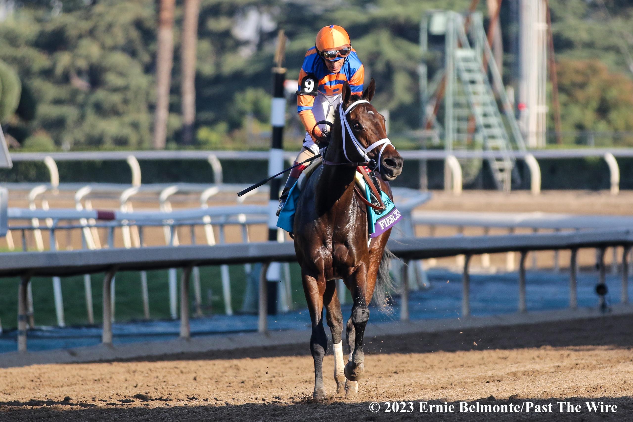 Champion Fierceness Returns in G3 Holy Bull - Past The Wire