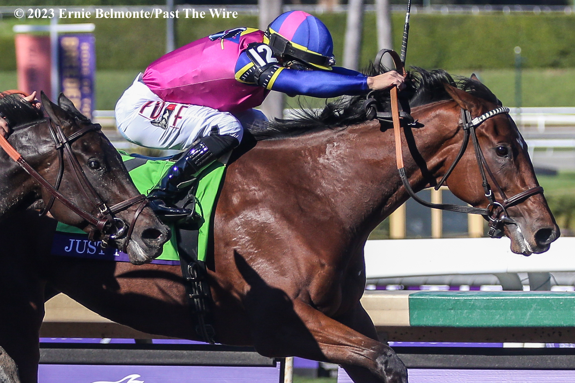 BC Champ Just F Y I Leads 104 Ky. Oaks Noms - Past The Wire