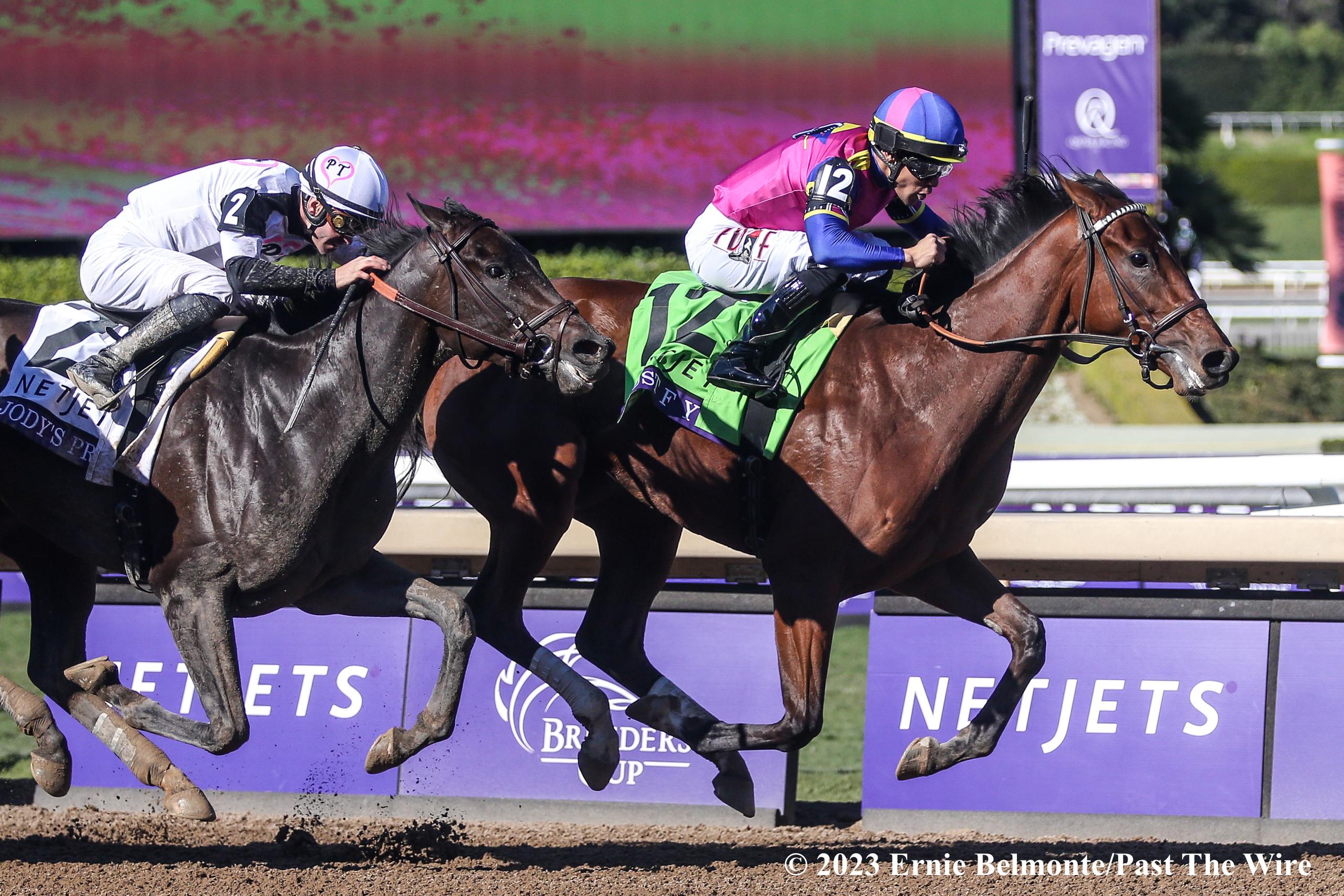 Game of Silks – Reflections, Breeders’ Cup 2023 Special Edition - Past ...