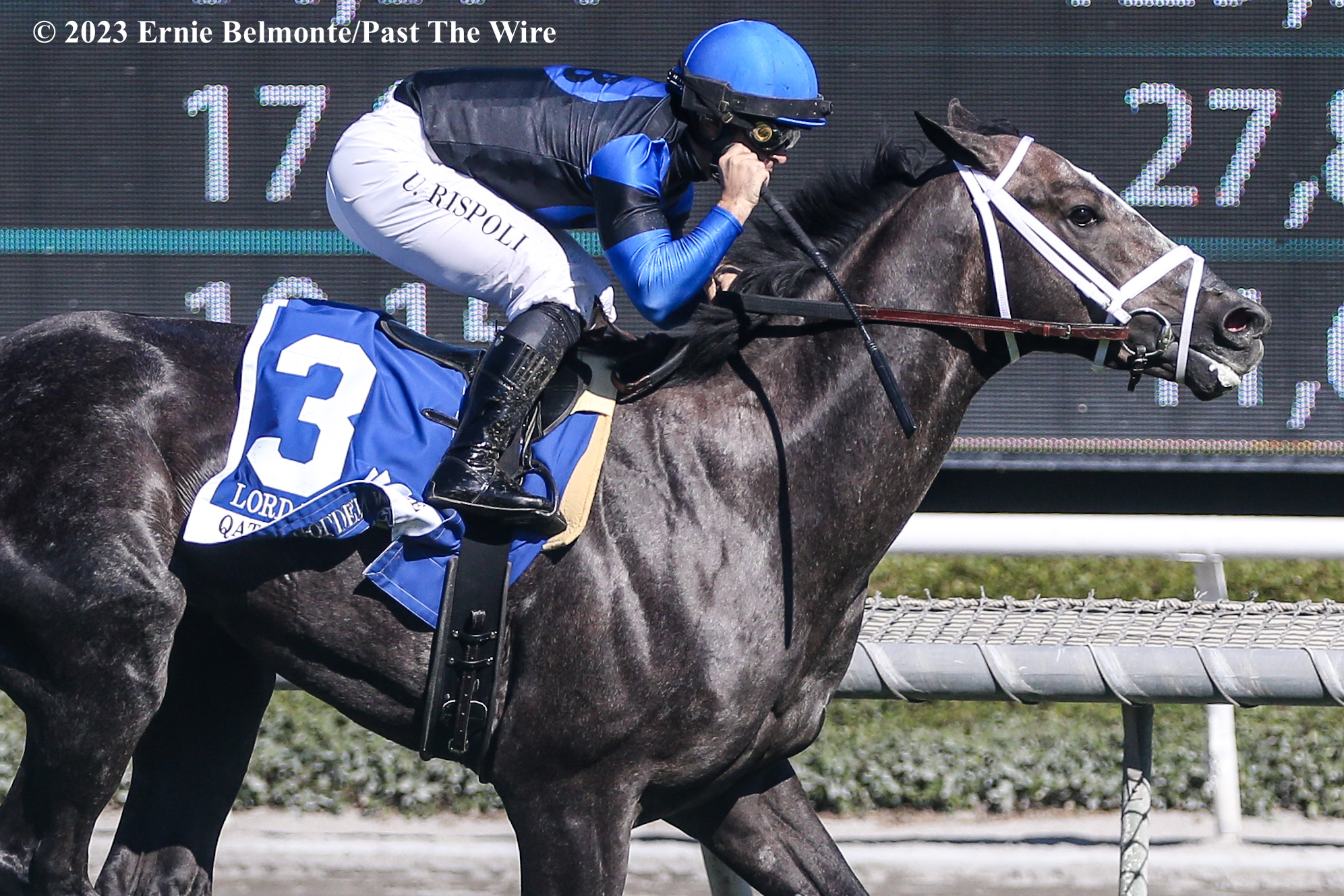 Lord Bullingdon Breaks His Maiden Impressively in $150K Qatar Golden ...