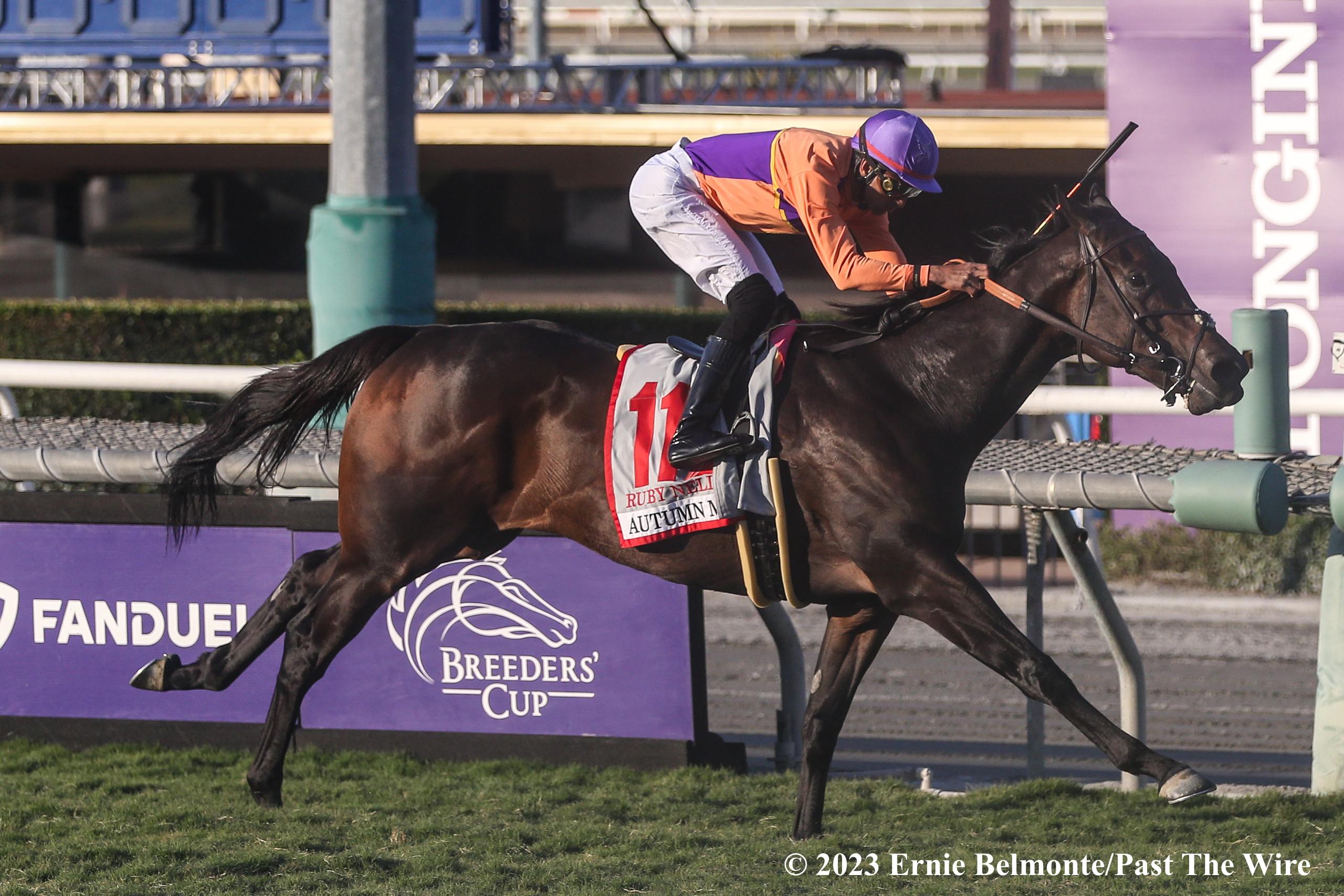 Ruby Nell Dominant in G3 Autumn Miss - Past The Wire