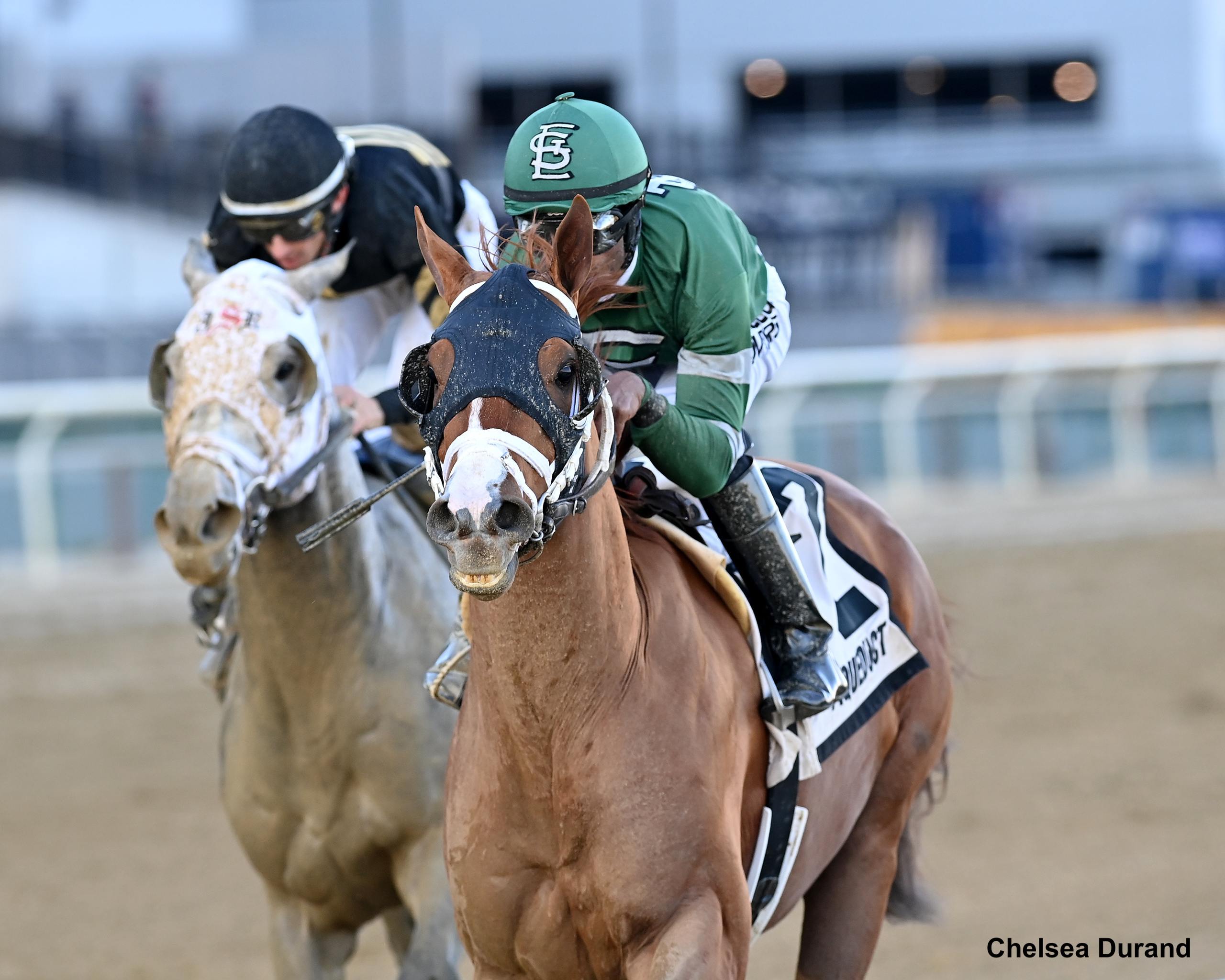 Crupi Scores First Stakes in Discovery - Past The Wire