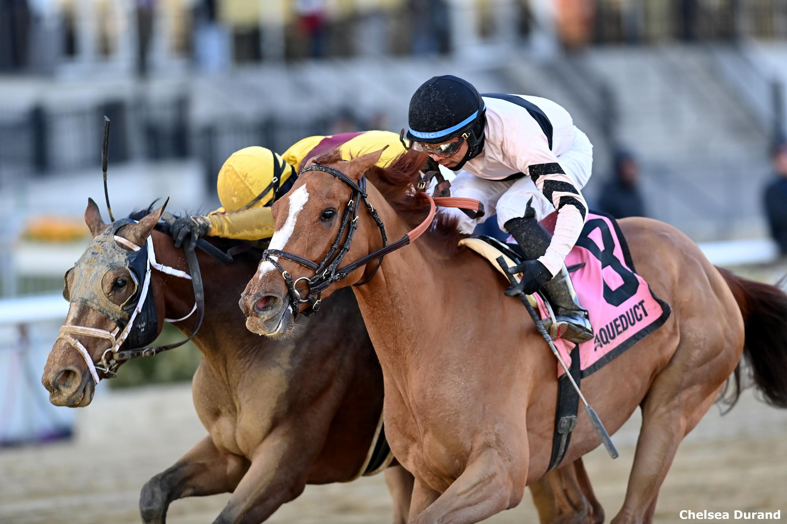 Raging Sea Fends off Julia Shining To Secure G3 Comely - Past The Wire