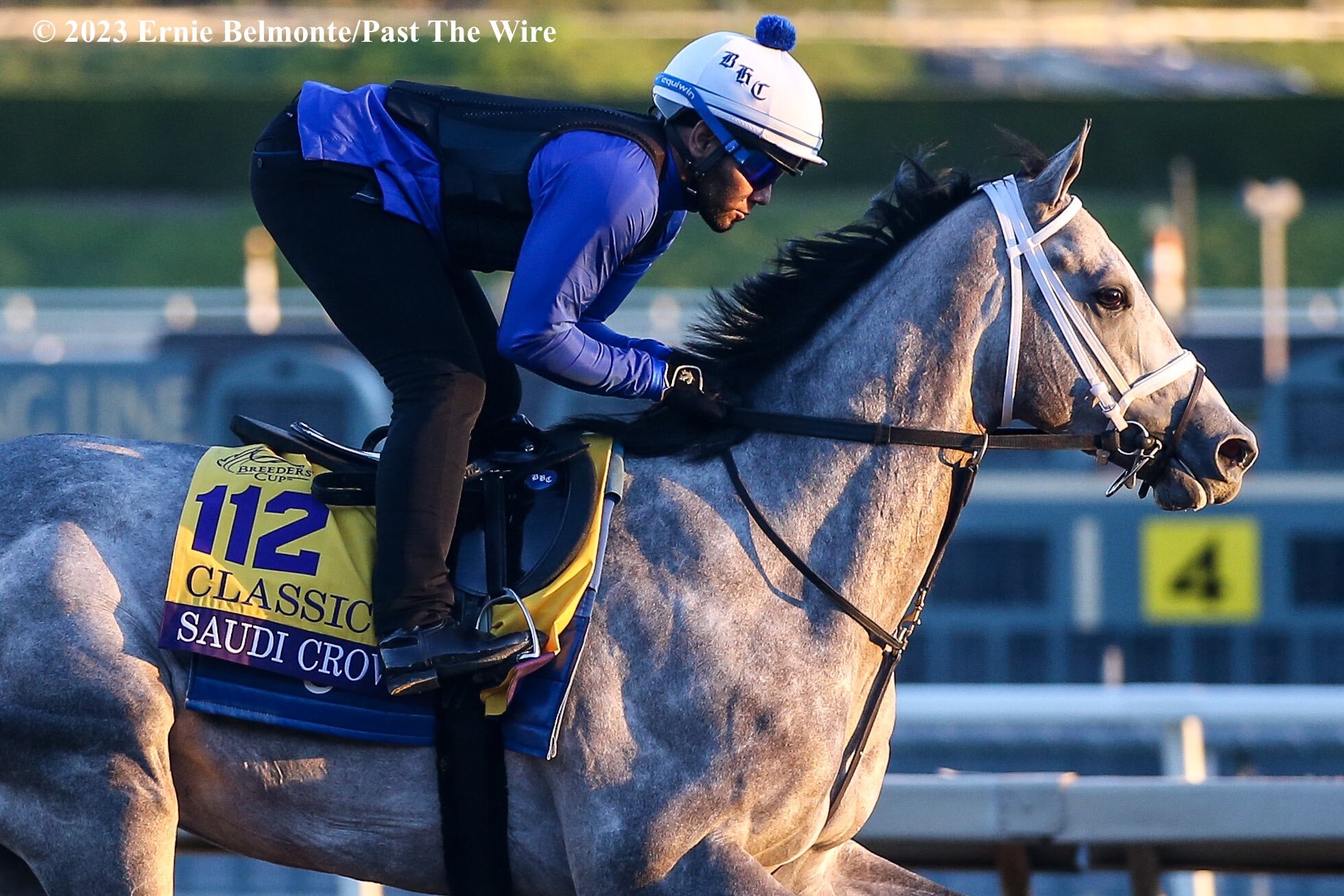 Cox Pair Prominent on Pegasus World Cup Invitation List - Past The Wire