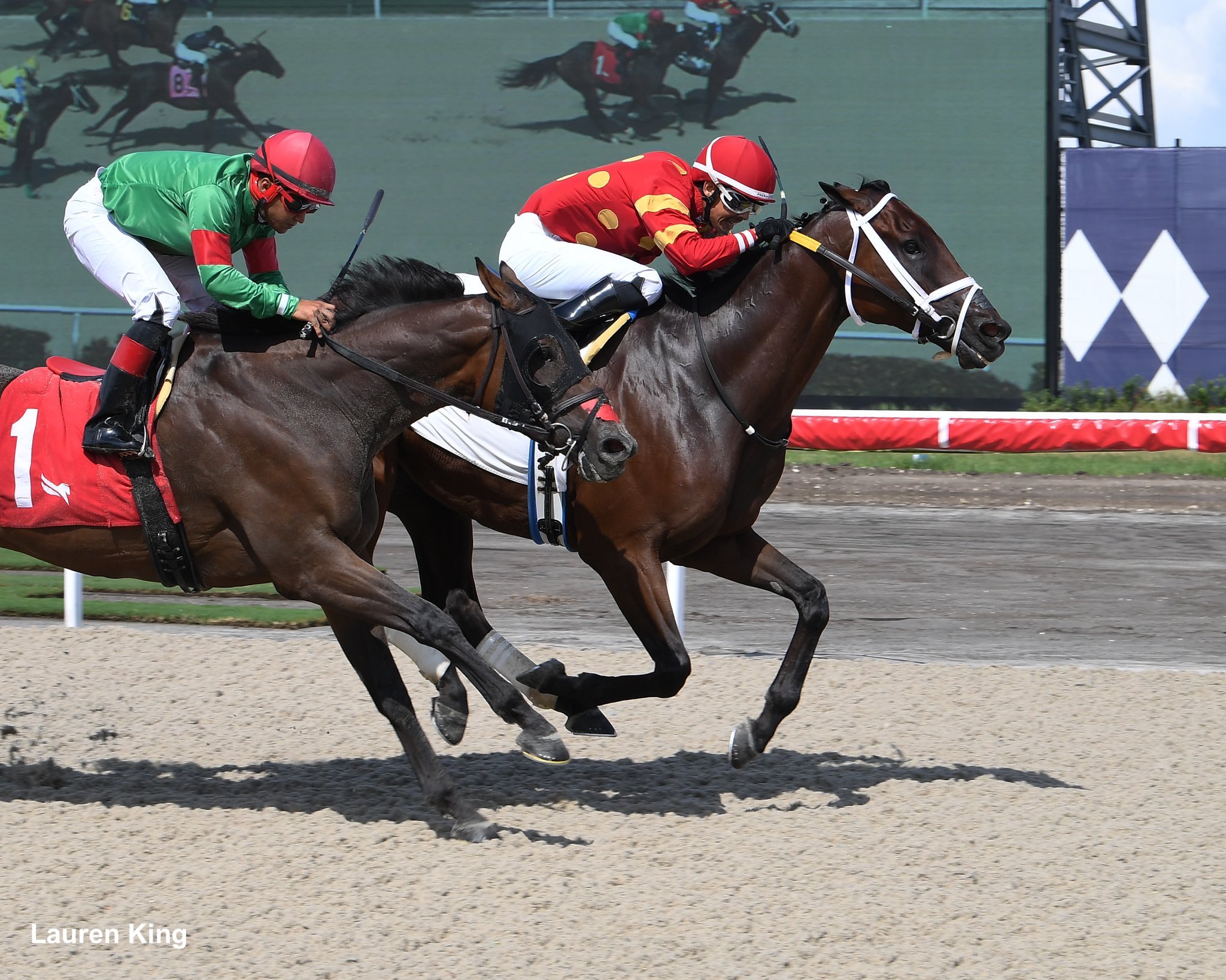 Pegasus Preview Day Feat. Mandatory Rainbow 6 Payout - Past The Wire
