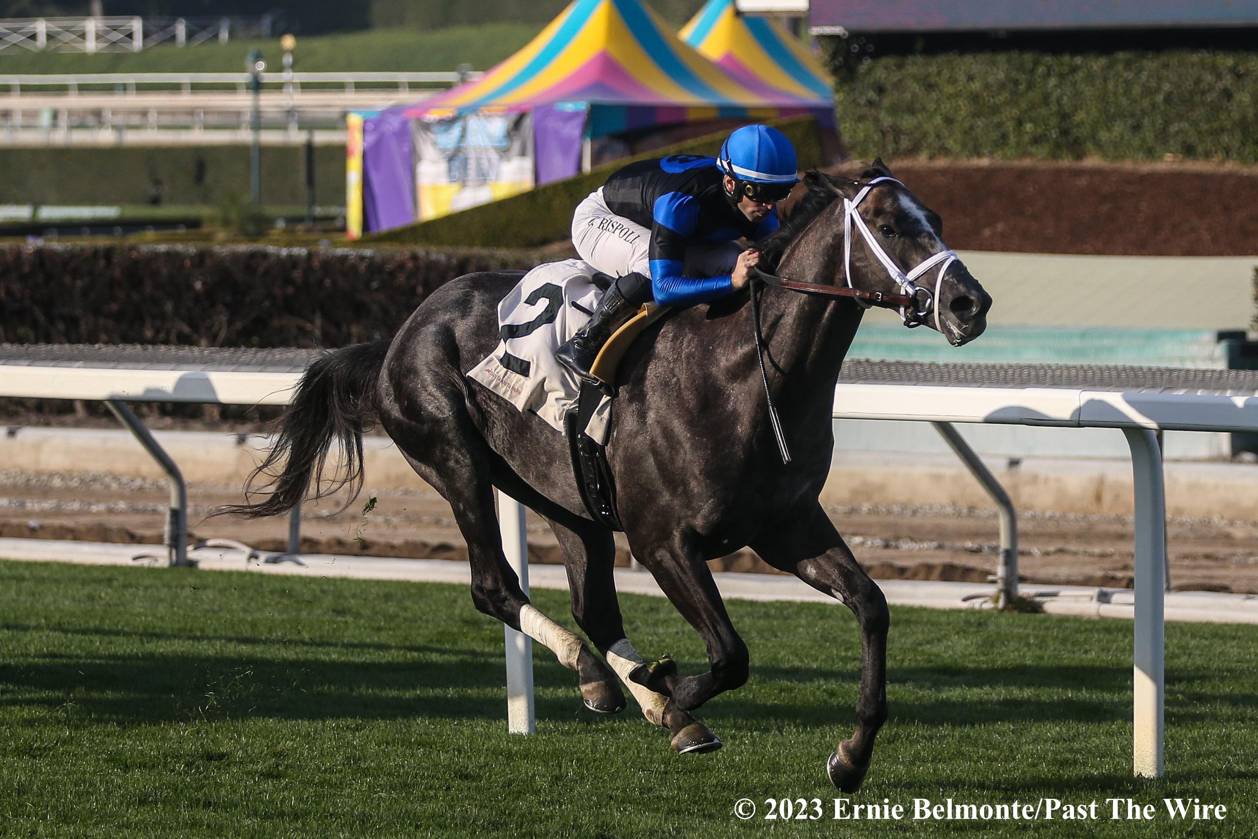 Lord Bullingdon Rallies & Romps to Eddie Logan Score - Past The Wire