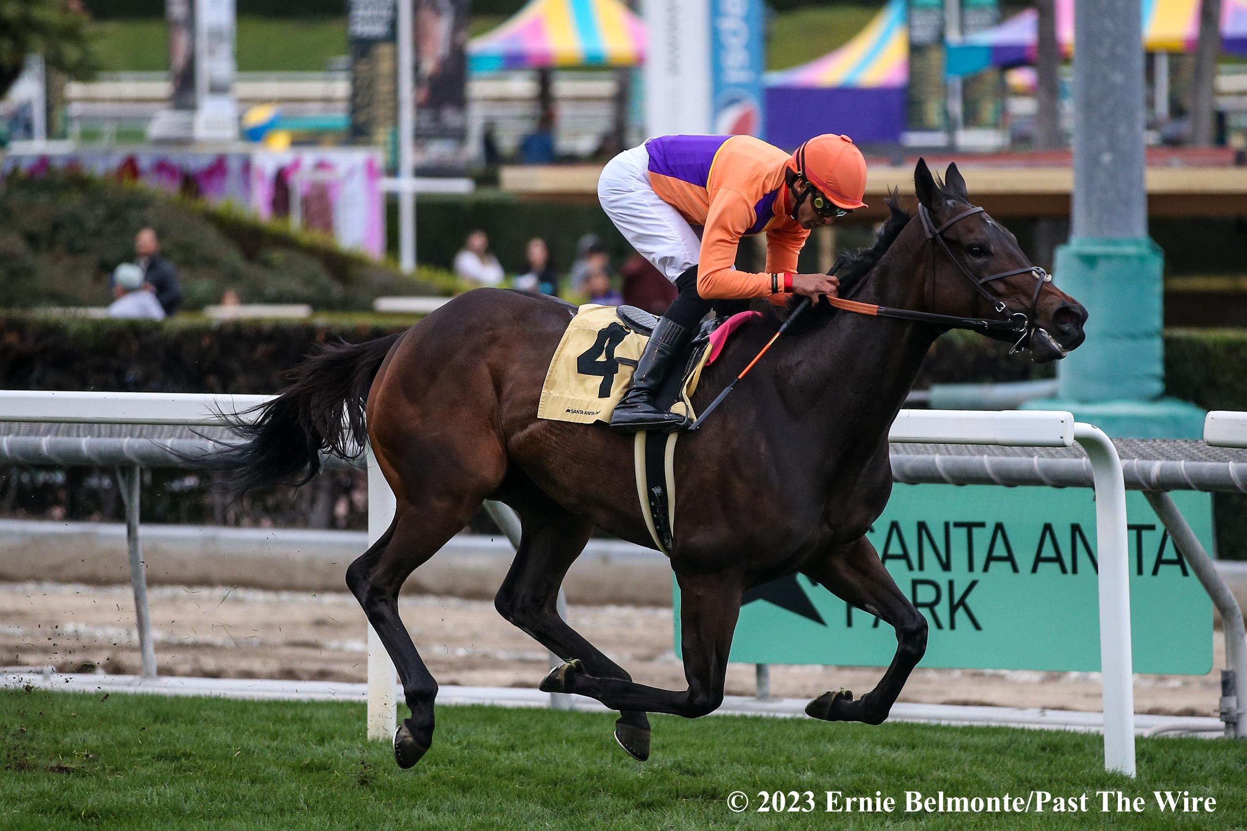 Ruby Nell Wires Lady Of Shamrock in Style - Past The Wire