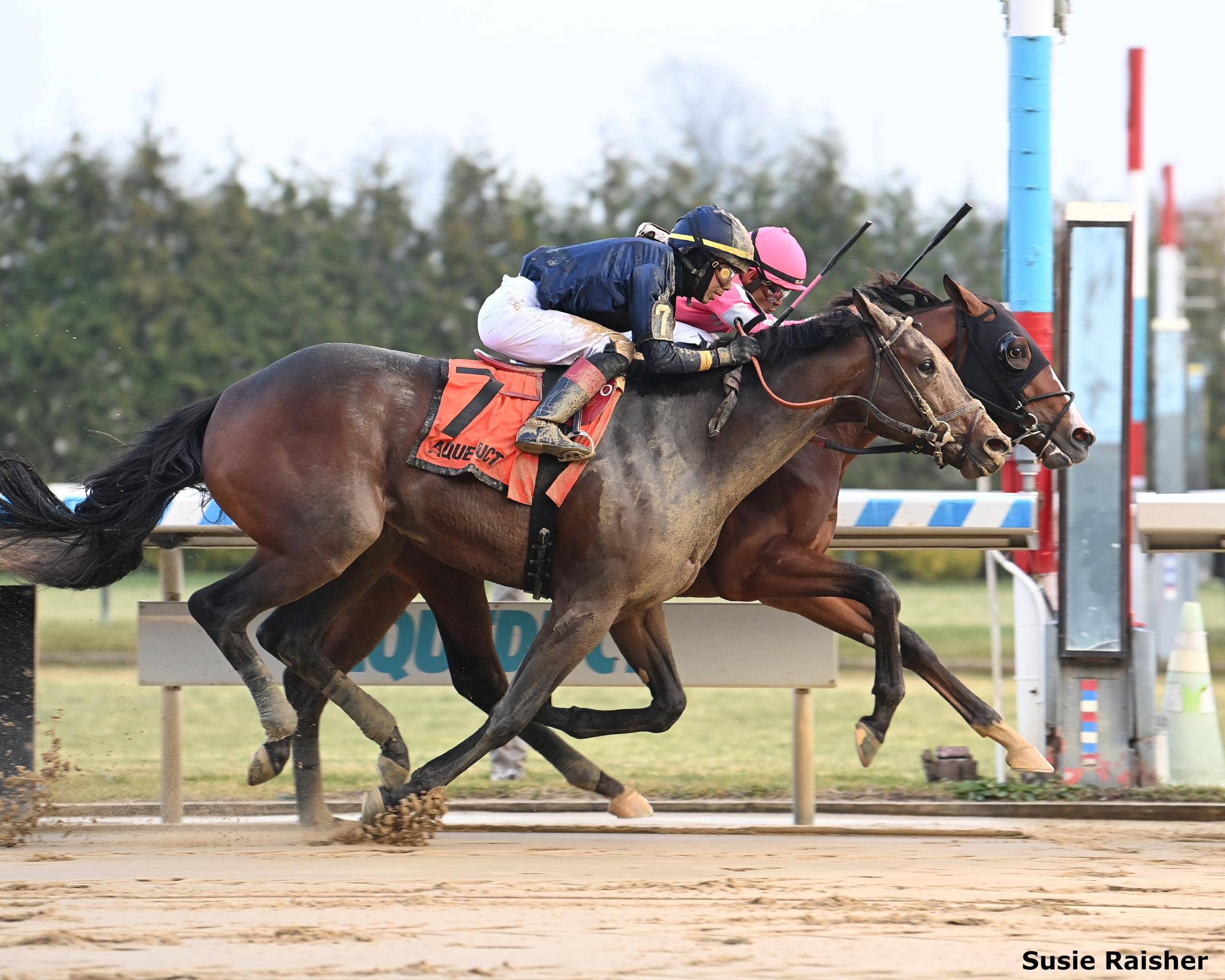 Road To Ky. Derby Revs with Four Key Races - Past The Wire