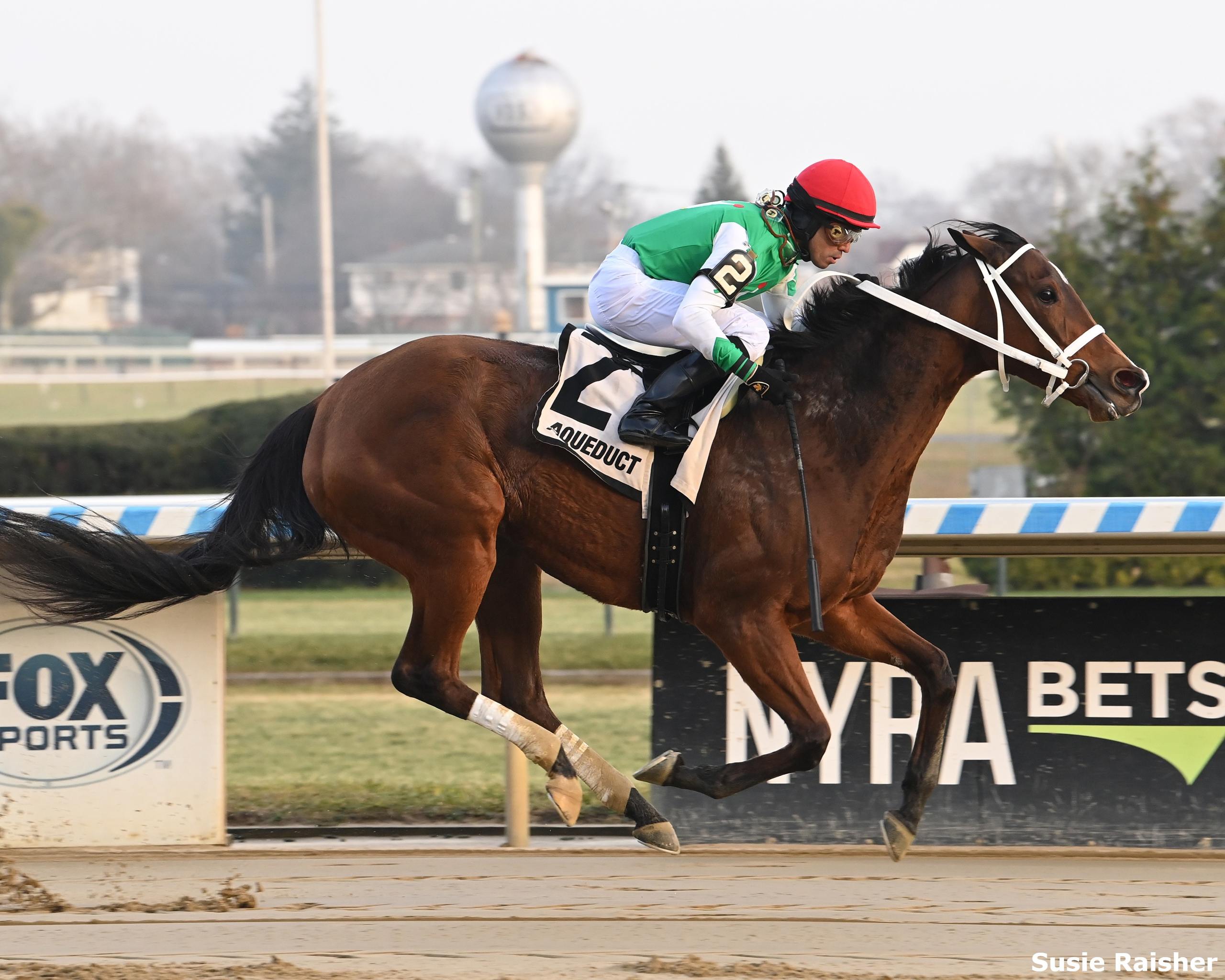 $150K Interborough Likely To Be Last Start for Dr B - Past The Wire