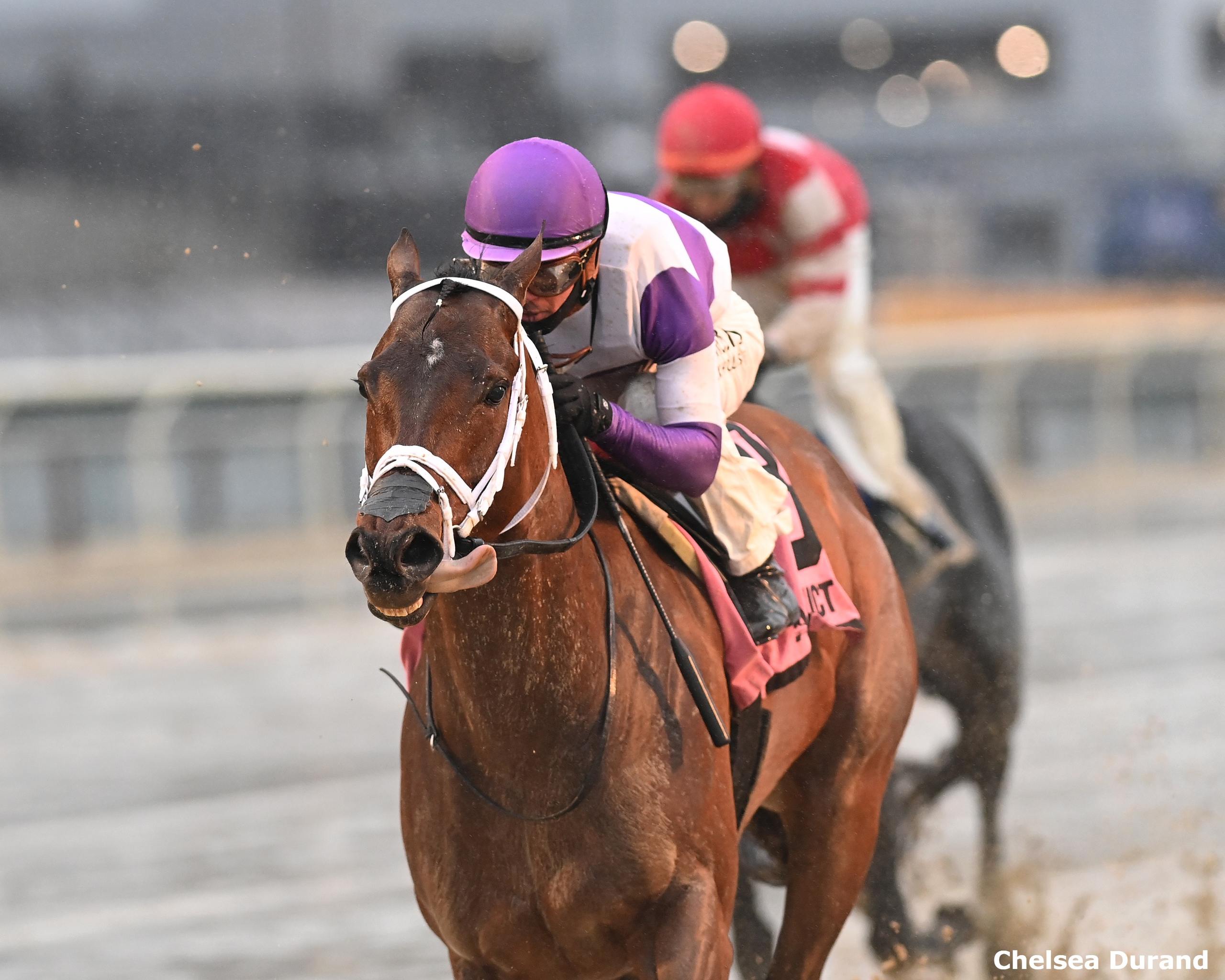 Today’s Flavor Edges Away Victorious in $125K NYSSS Thunder Rumble ...