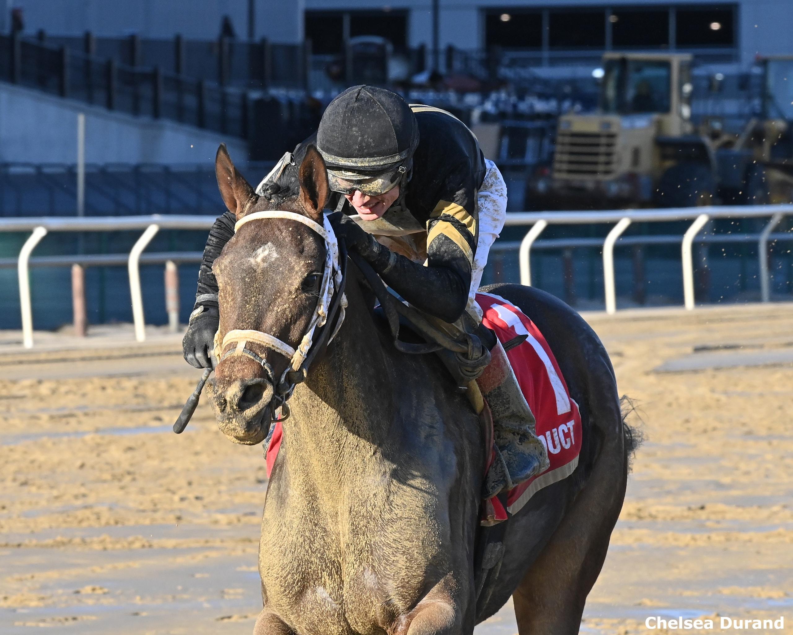 Gin Gin on Path to Kentucky Oaks With $100K Busanda Victory - Past The Wire