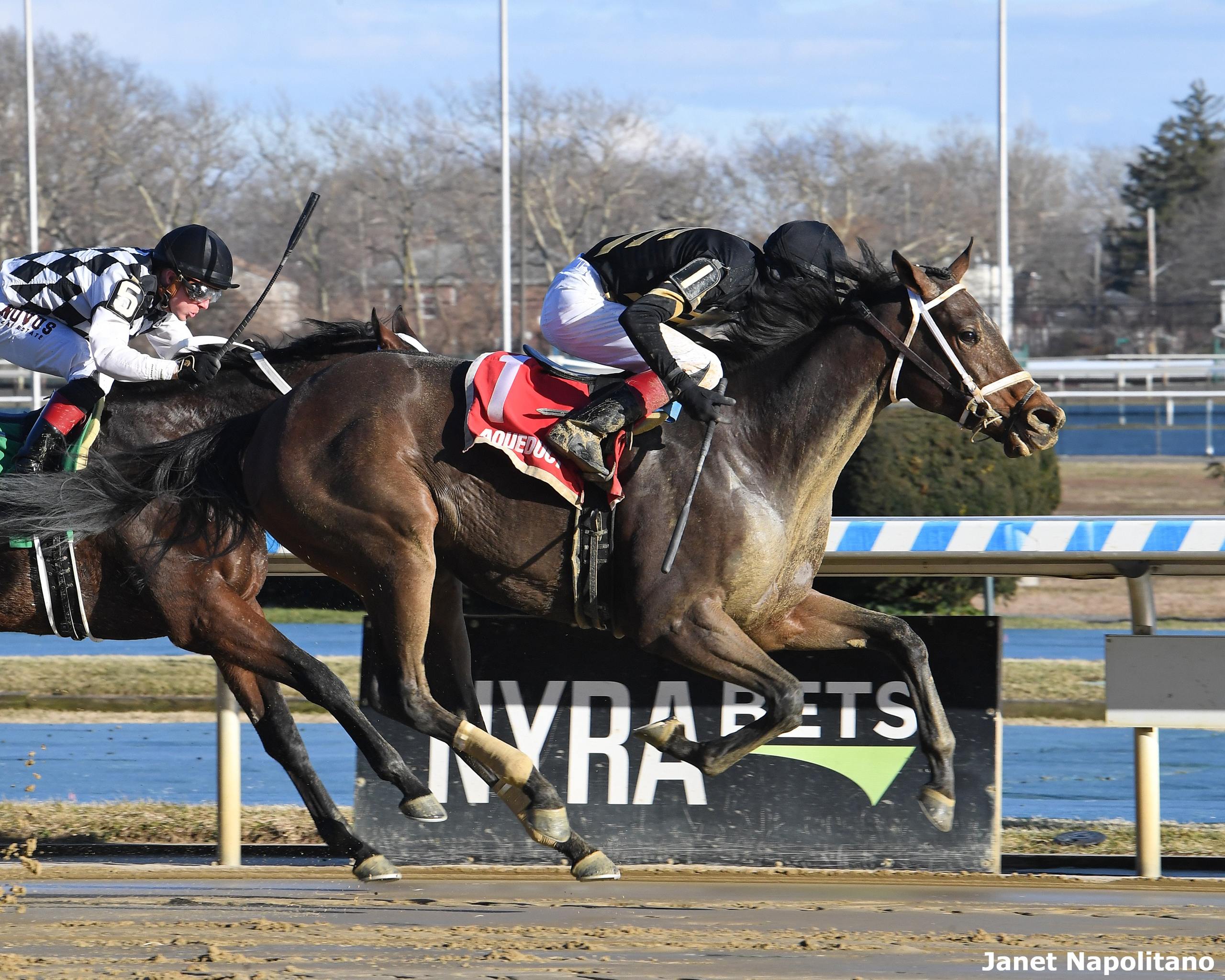 Gin Gin, Barbratina Make up Cox Duo in G3 Gazelle - Past The Wire