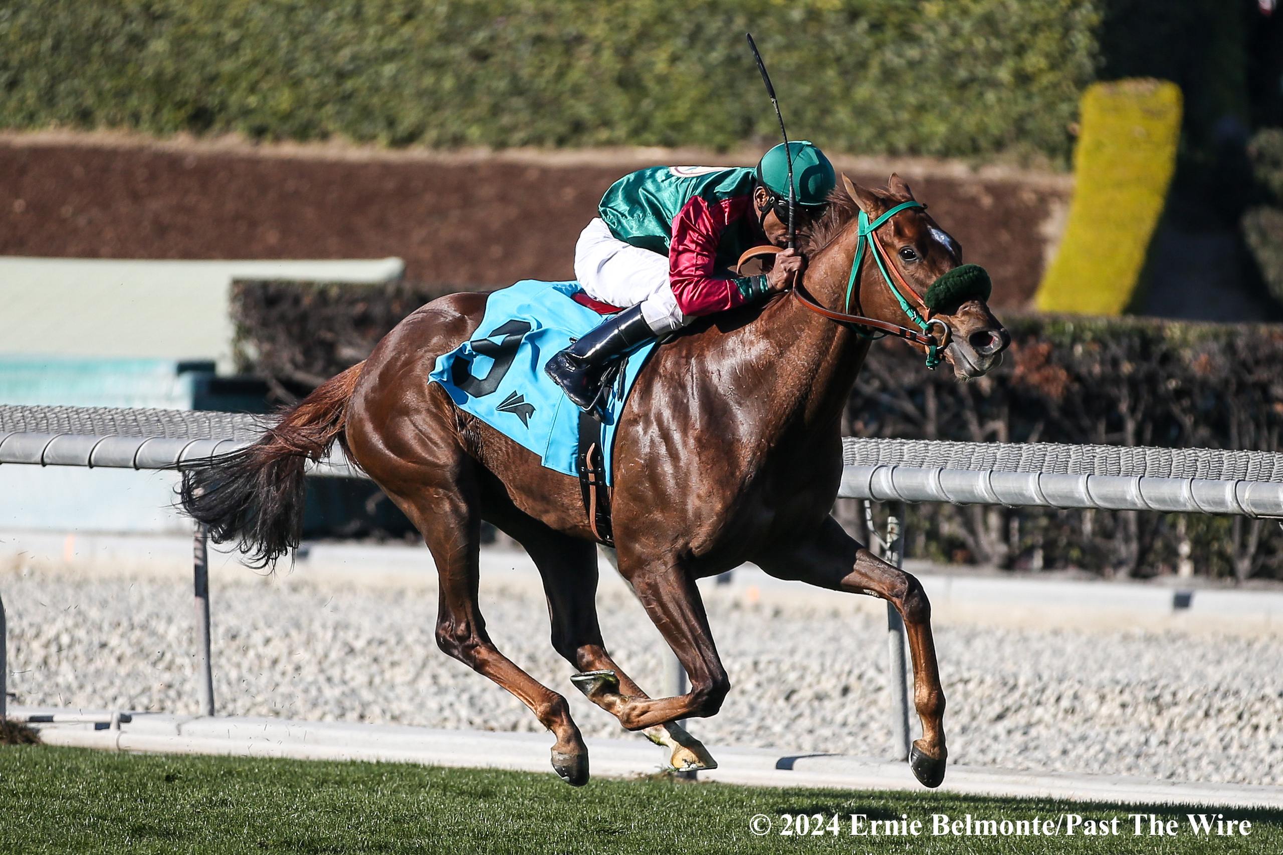 After Jock Drop Grand Slam Smile All Biz in Cal Cup Oaks - Past The Wire