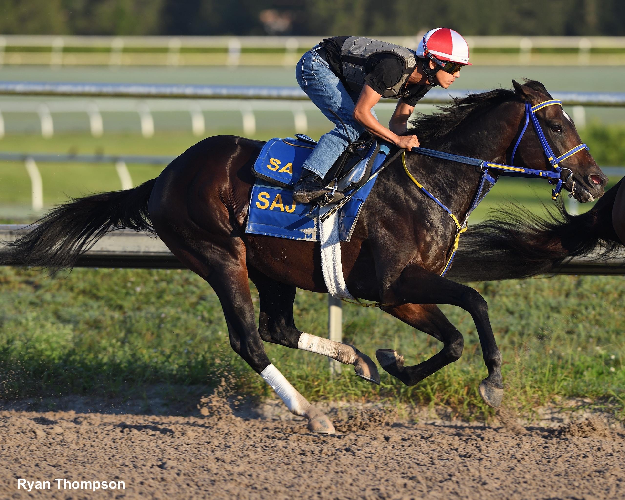 Joseph-Trained Invitees Breeze for Pegasus WC - Past The Wire