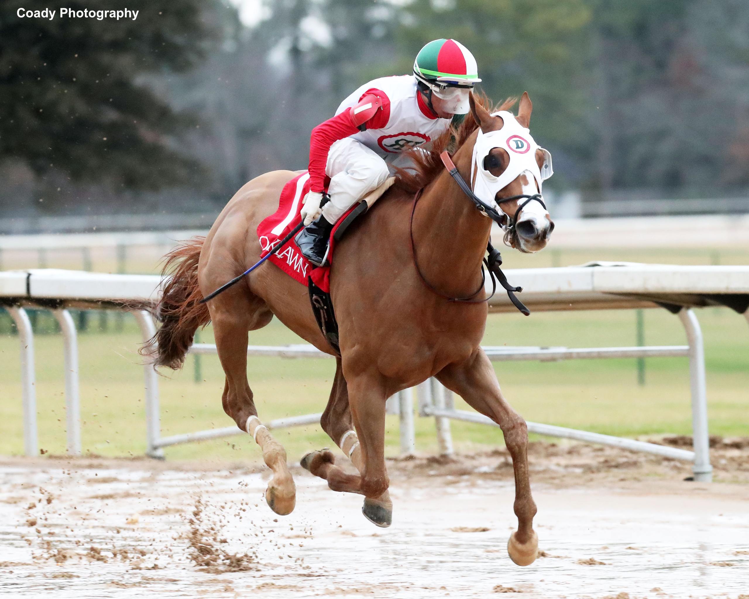 Promise Keeper Splashes to Fifth Season Victory - Past The Wire