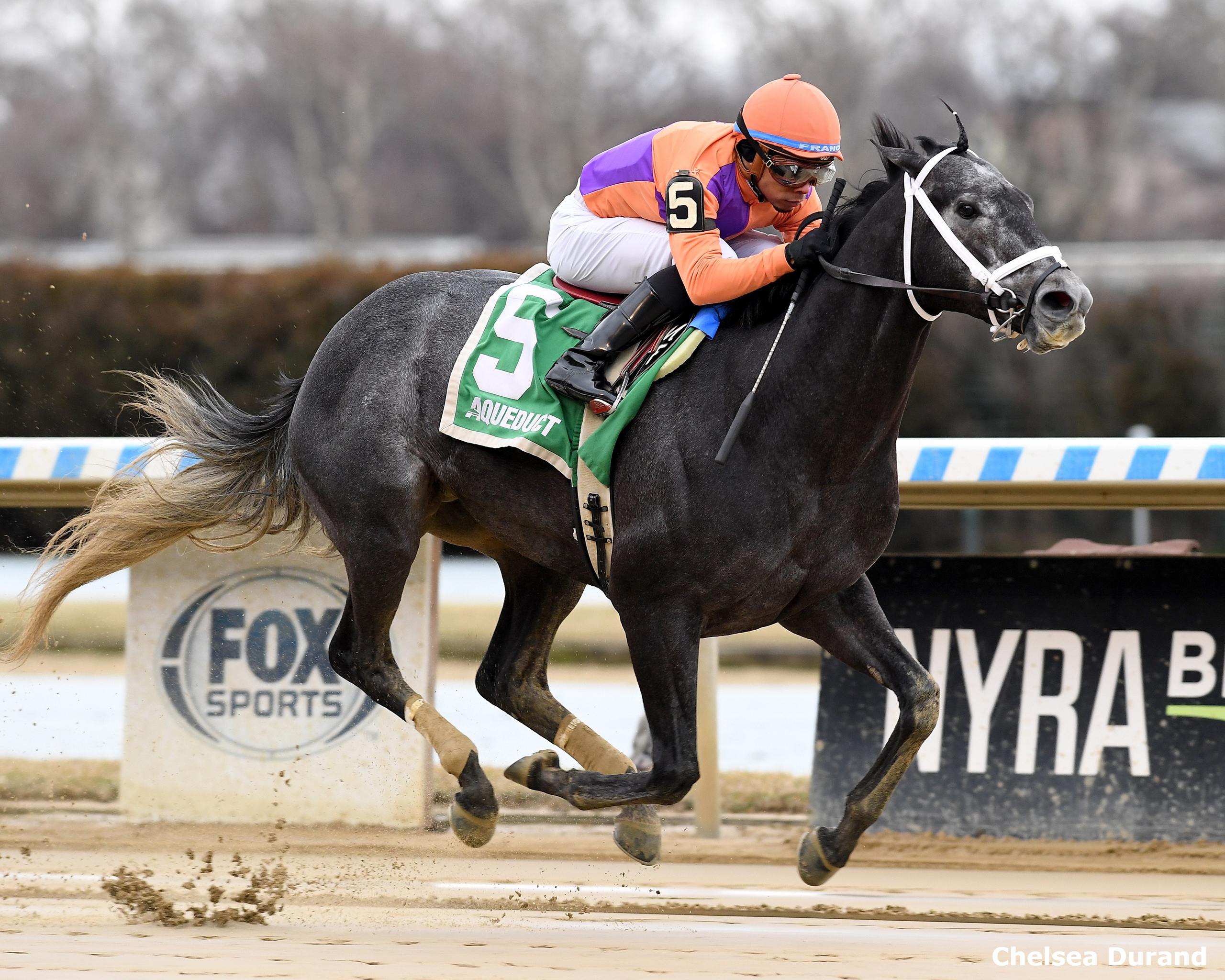 Bergen Scores in $100K Jimmy Winkfield - Past The Wire
