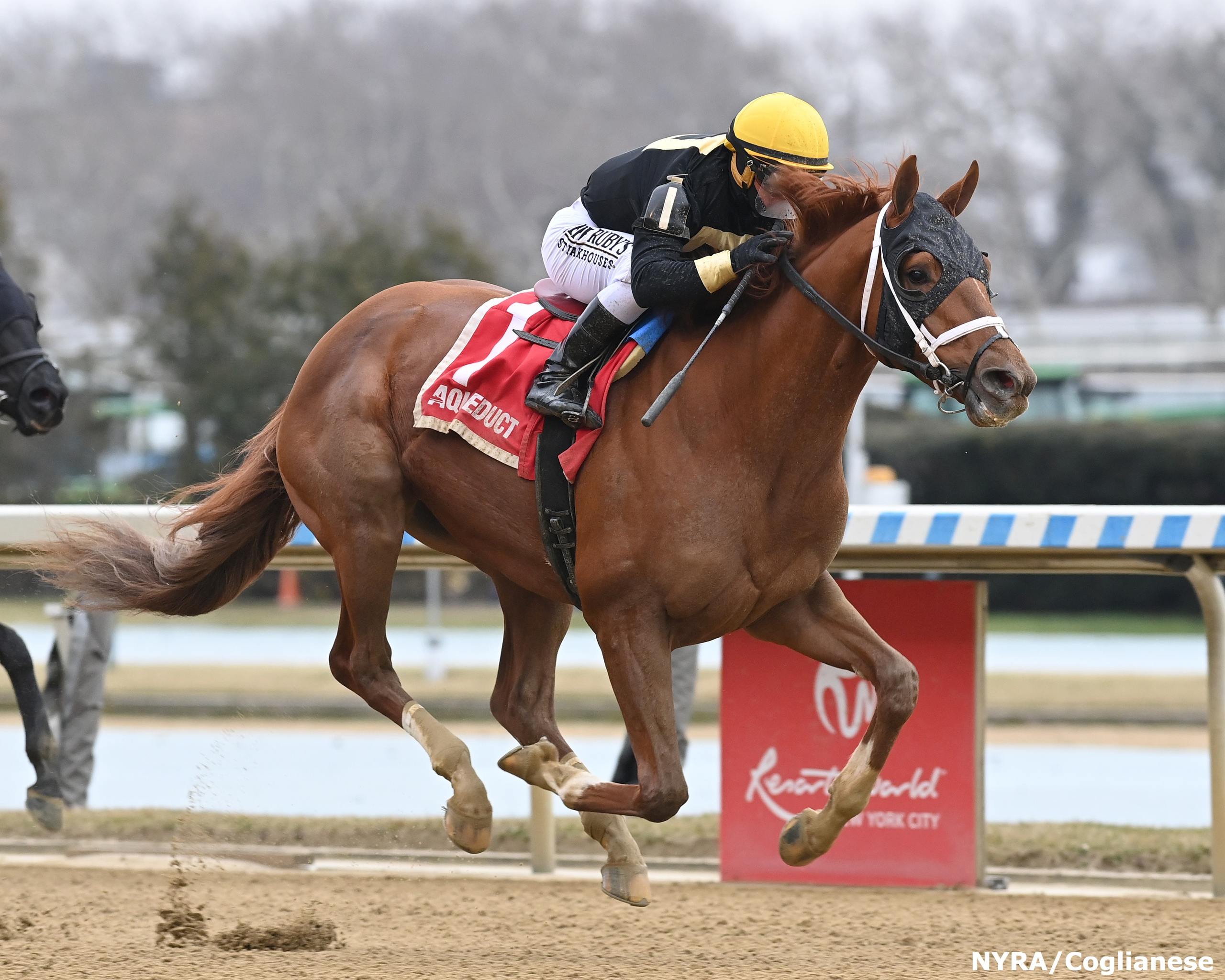 Cox Sweeps Saturday Stakes at Aqueduct - Past The Wire