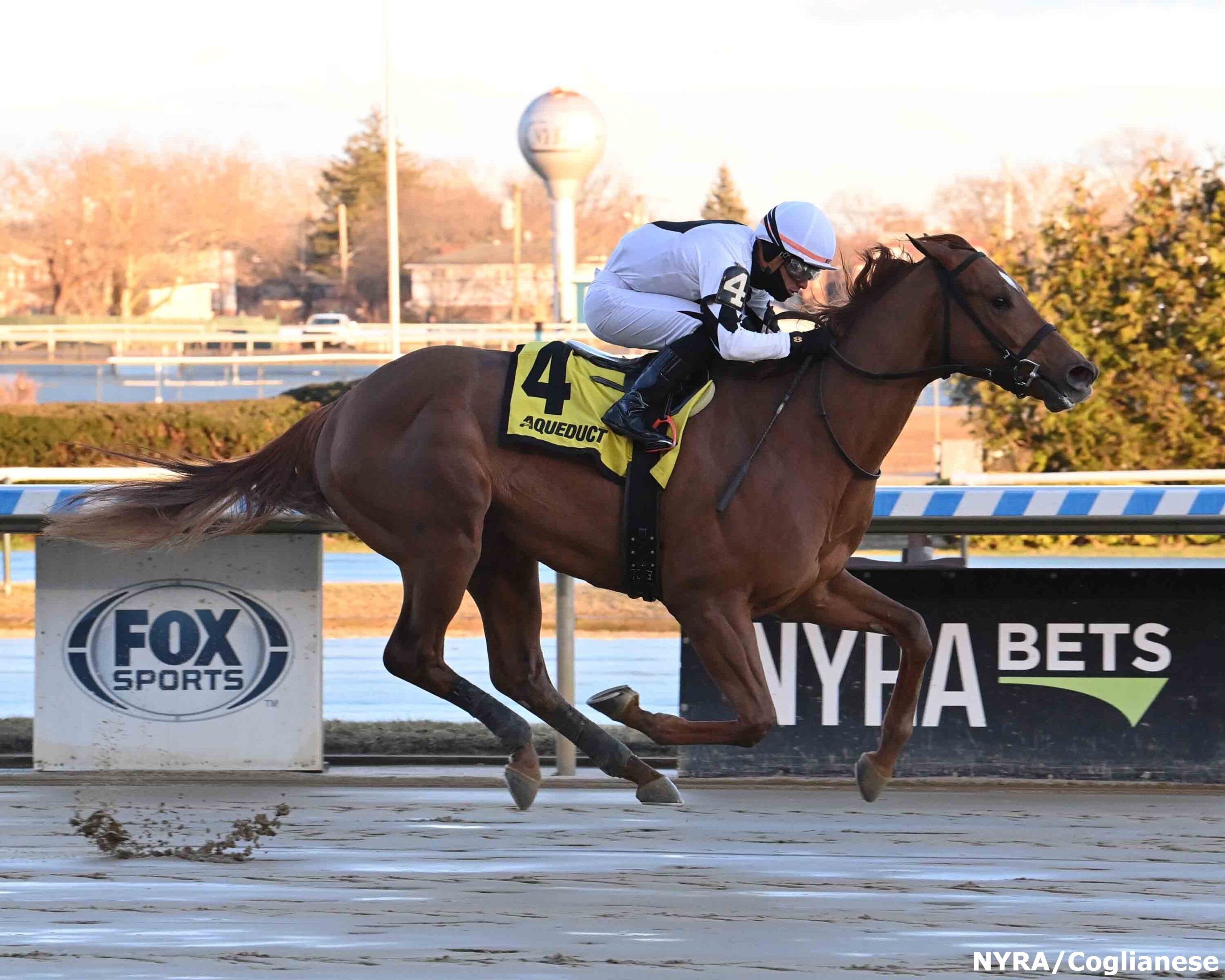 The Big Torpedo Cuts Back in NYSSS Spectacular Bid - Past The Wire