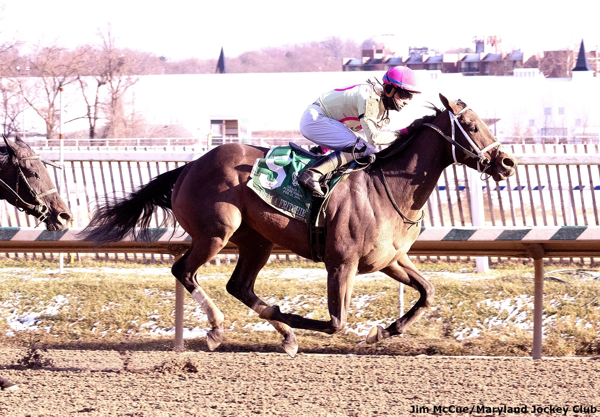 Apple Picker Picks up Graded Glory in G3 Barbara Fritchie - Past The Wire