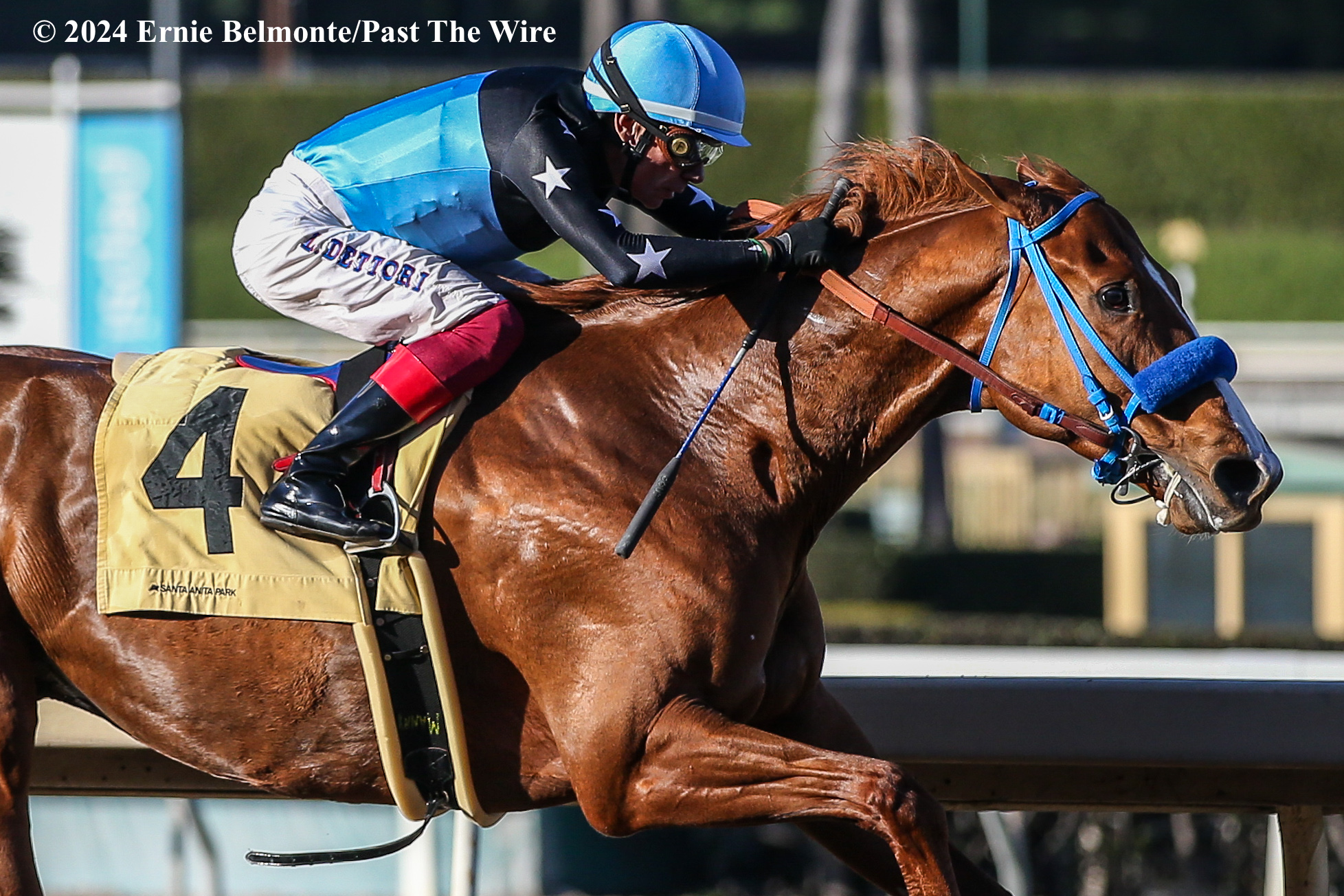 G3 Californian: Judge Miller Takes Next Step - Past The Wire