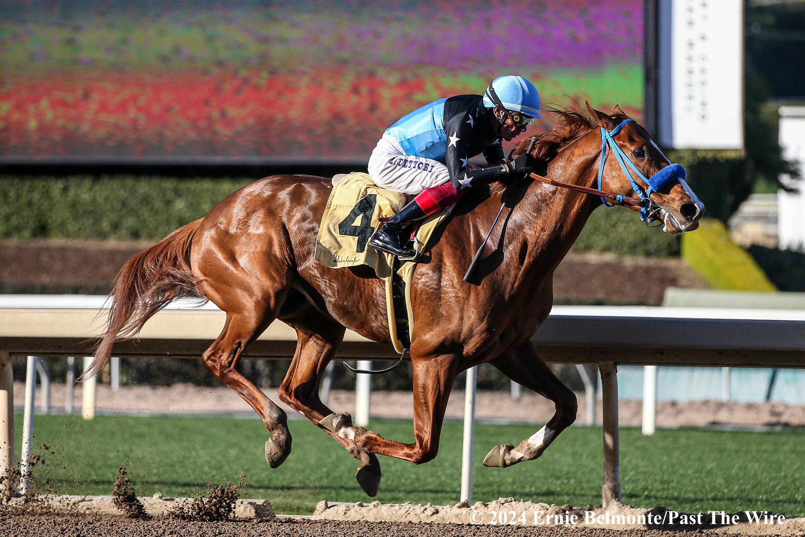 Judge Miller Serves Notice With 105 Beyer - Past The Wire