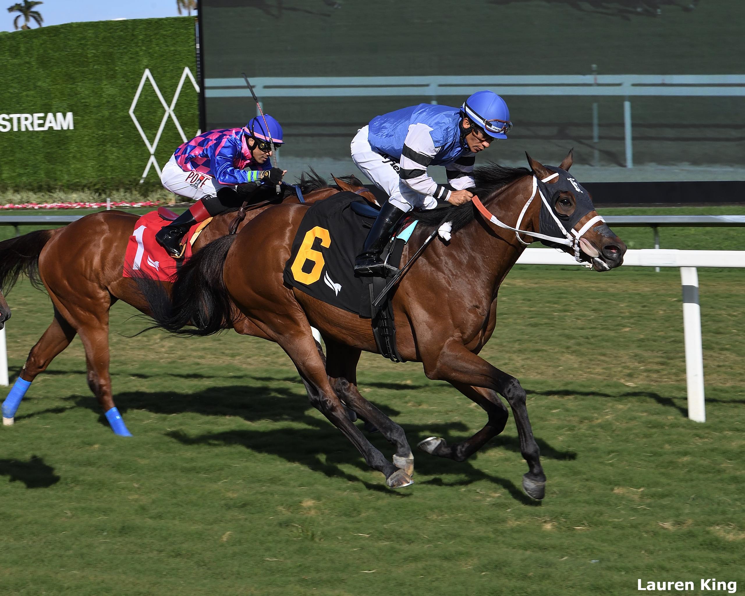 Valiant Force Upset by Reef Runner in Gulfstream Feature - Past The Wire