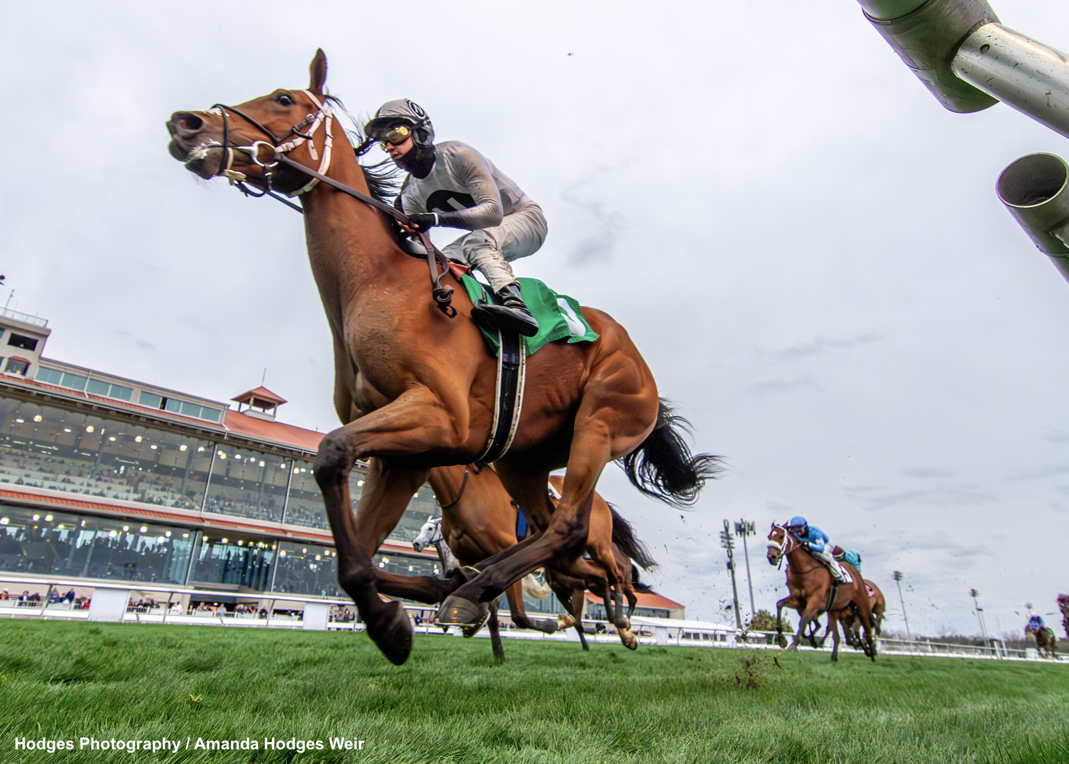 Spirit And Glory Skims Rail to Winner’s Circle in Al Stall Memorial ...