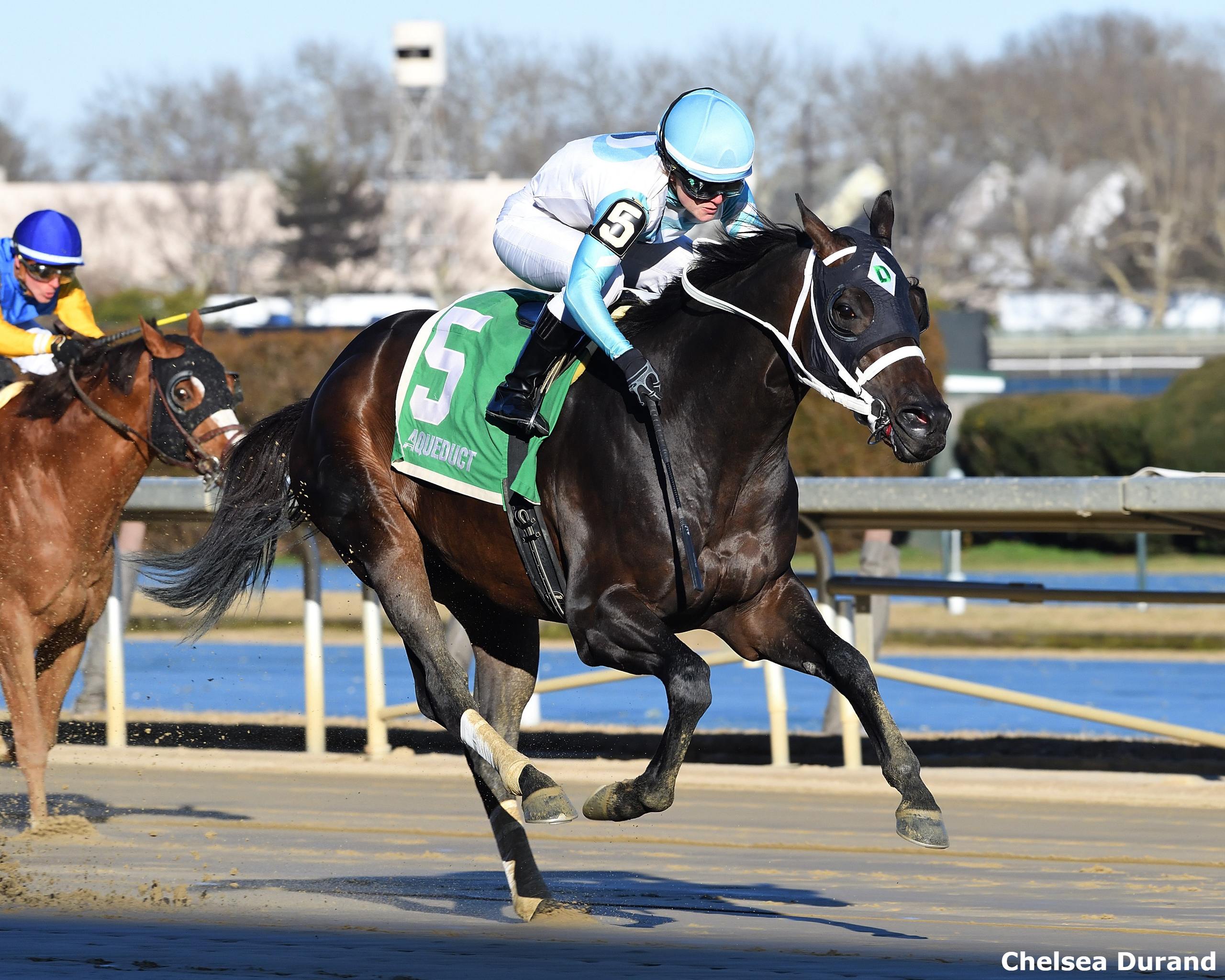 Super Chow Posts Frontrunning Score in G3 Toboggan - Past The Wire