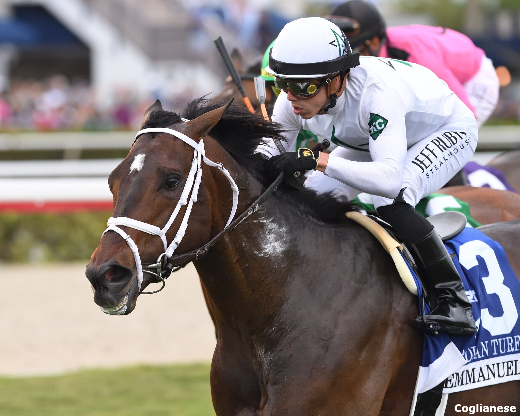 Emmanuel Defends Title in G3 Canadian Turf - Past The Wire