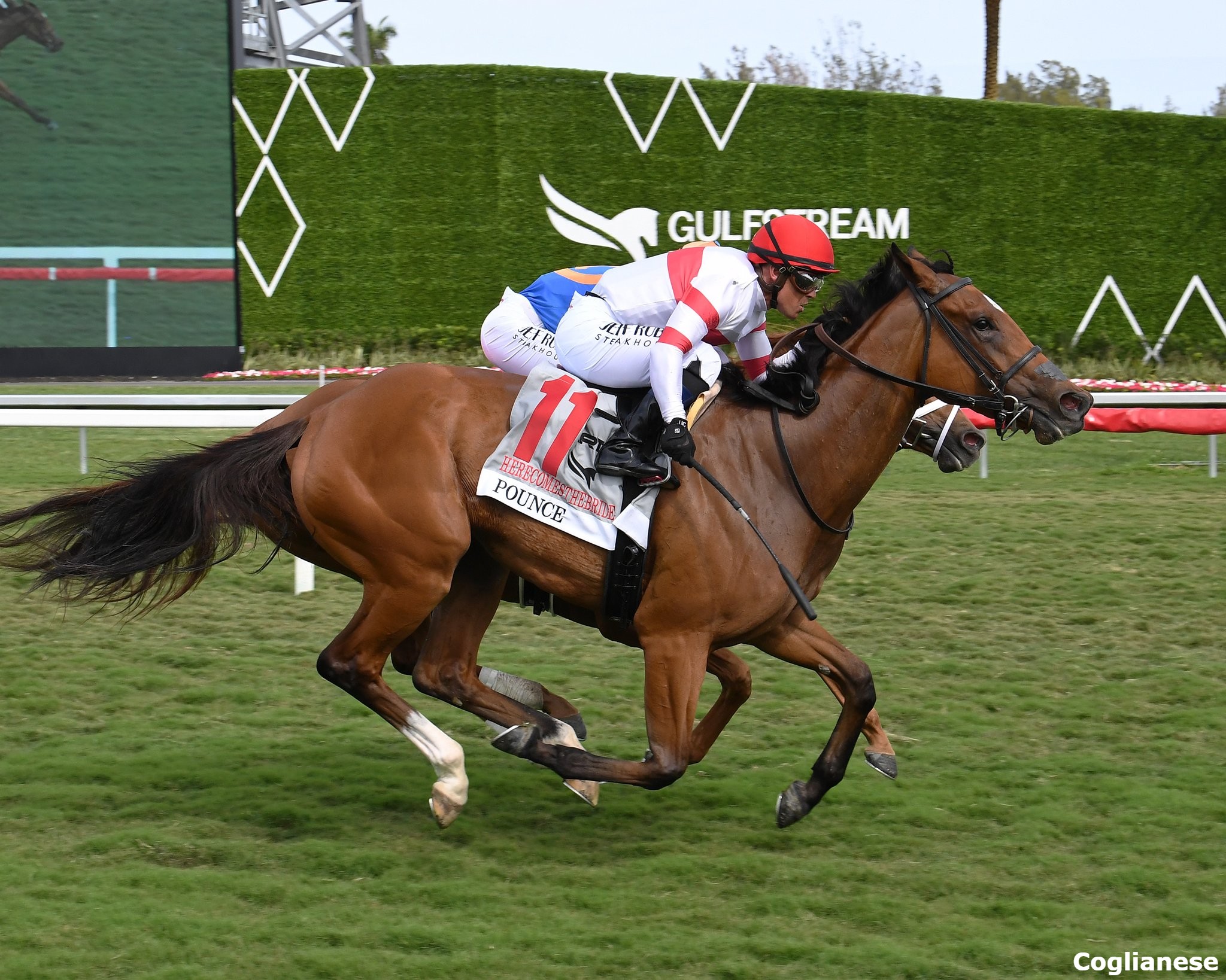 Pounce Lives up to Name in G3 Herecomesthebride - Past The Wire