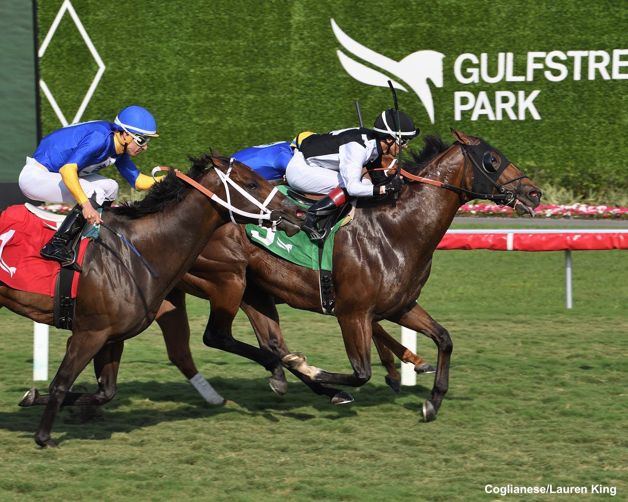 Coppola Surges for Silks Run Victory - Past The Wire