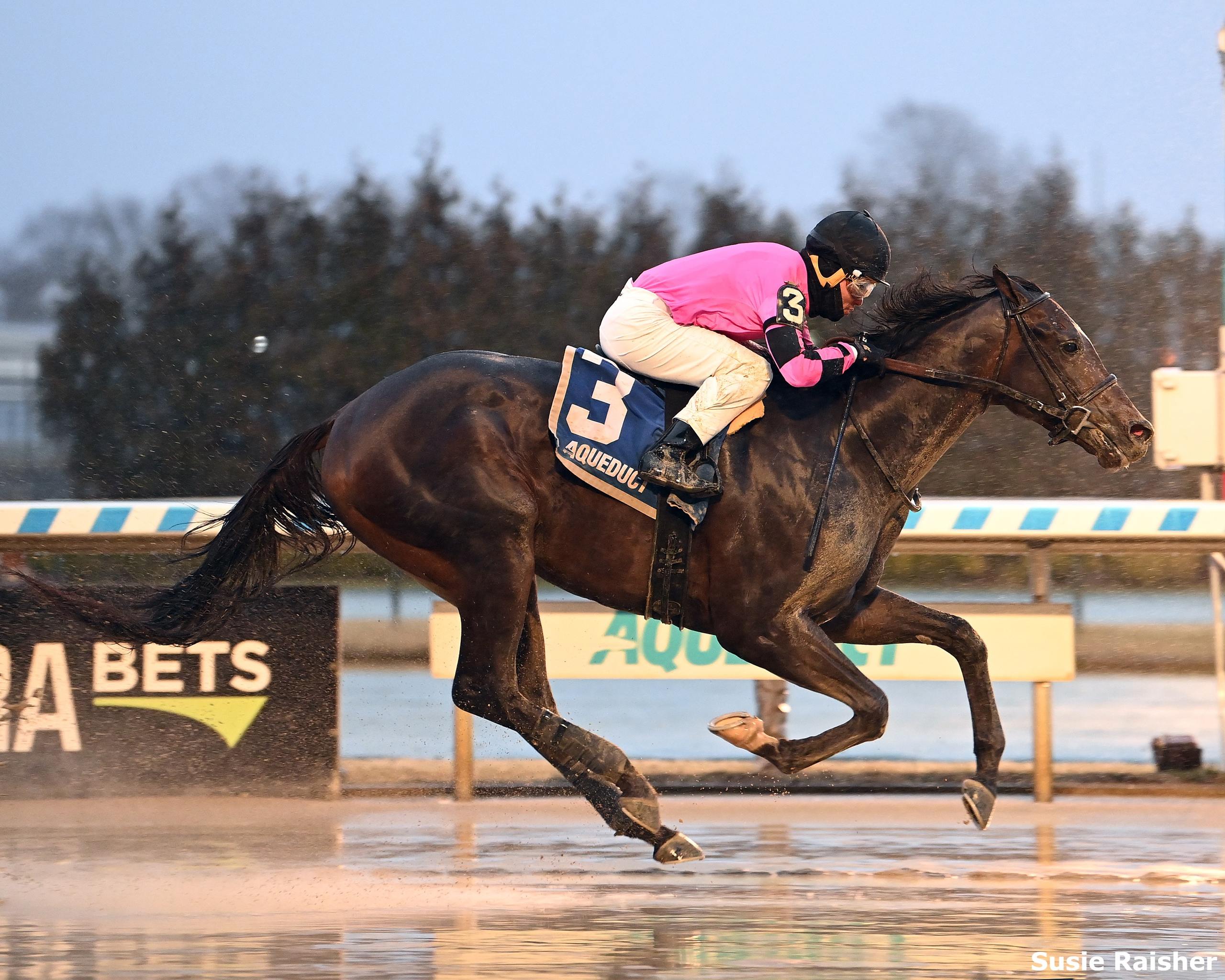 Deterministic Takes Turf Test in G3 Manila - Past The Wire