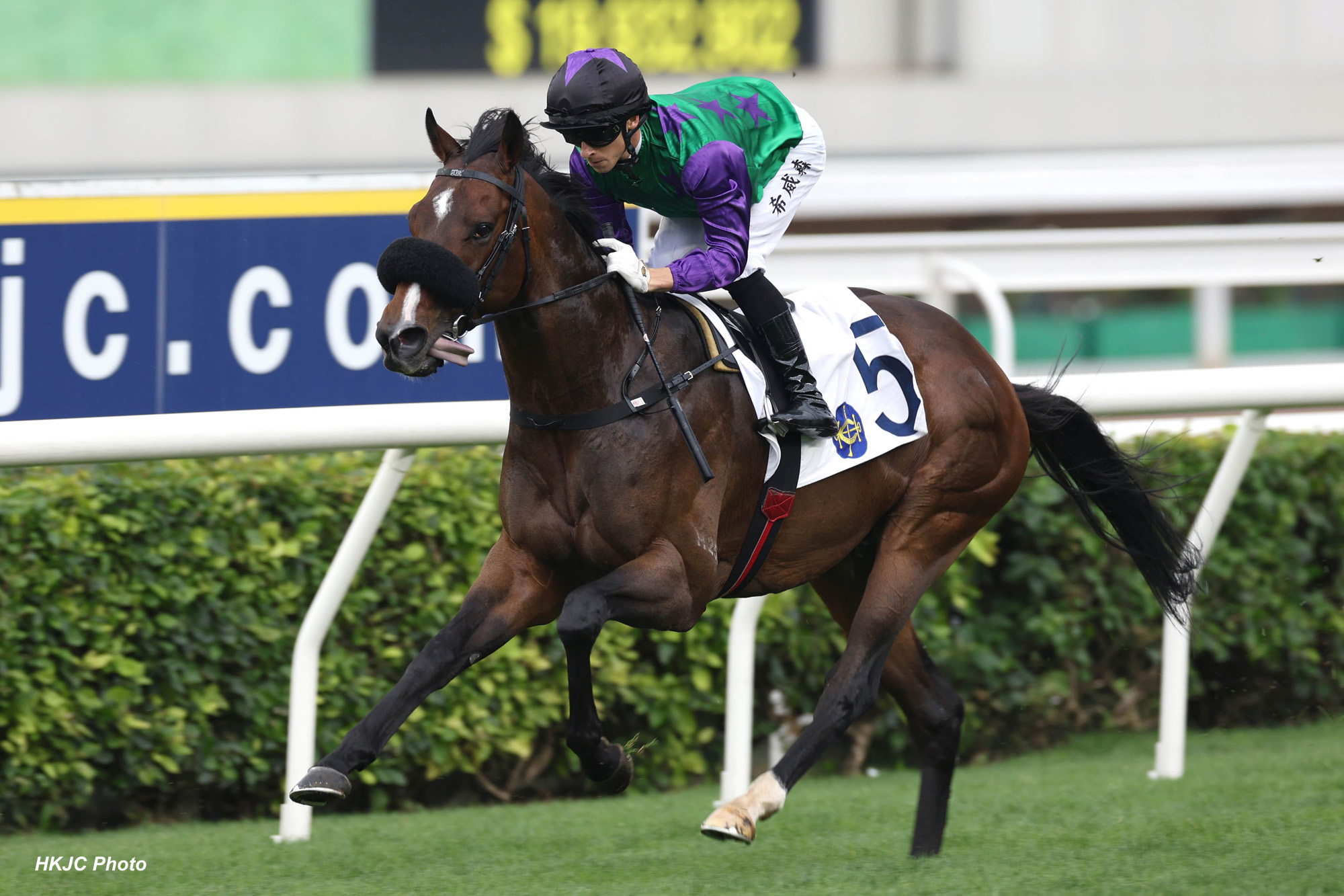 Flaming Rabbit Bounces Back With Front-Running Demolition - Past The Wire