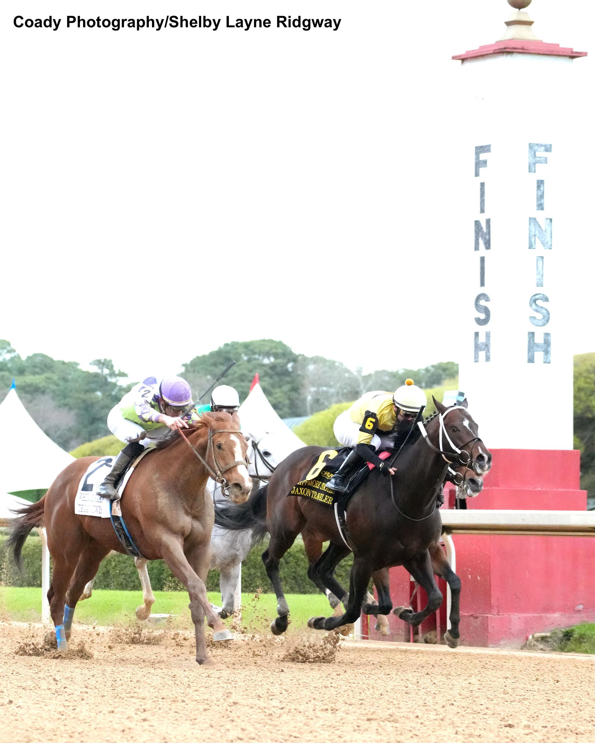 Jaxon Traveler Takes G3 Whitmore by a Whisker - Past The Wire