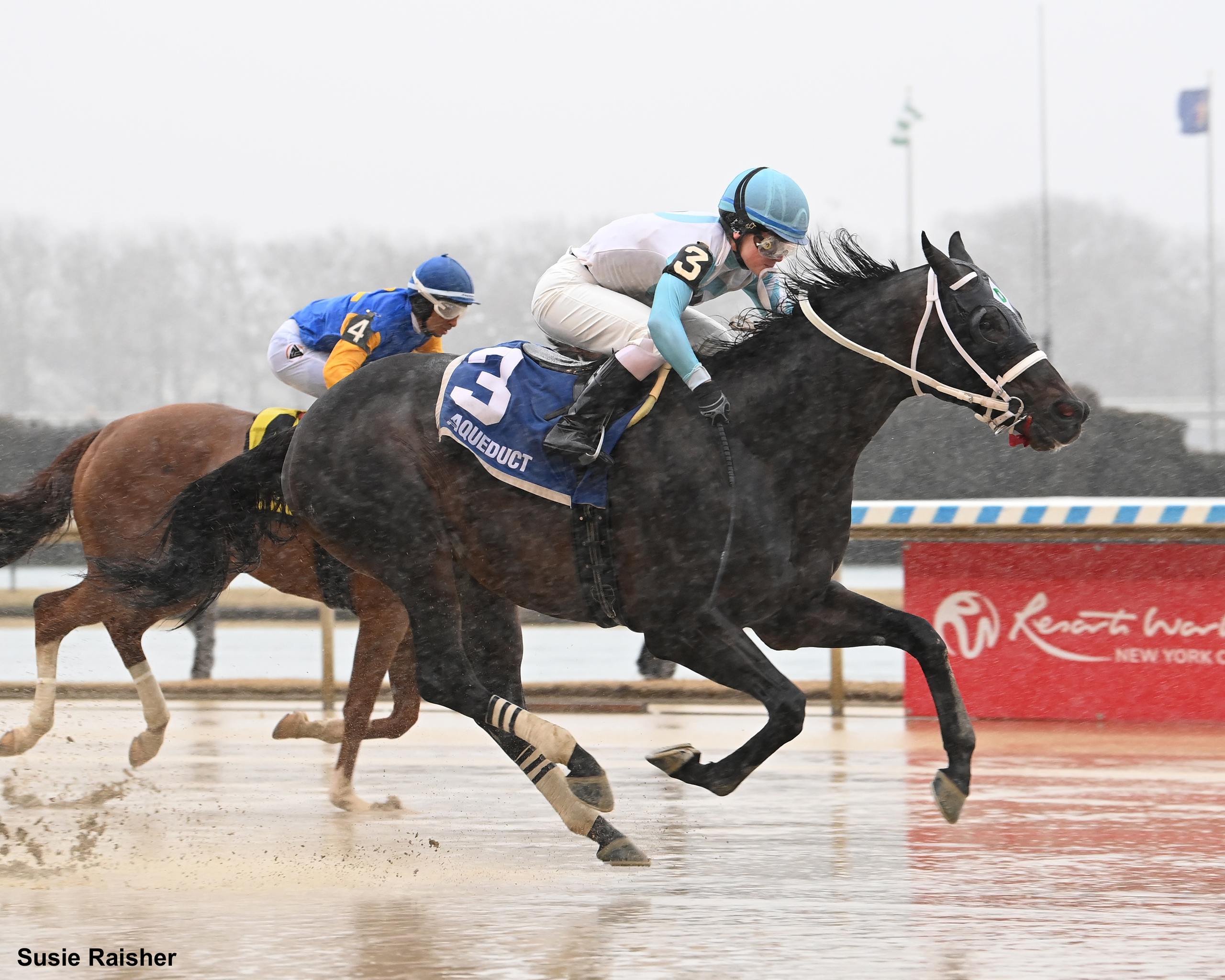 Super Chow Hydroplanes to G3 Tom Fool Victory - Past The Wire