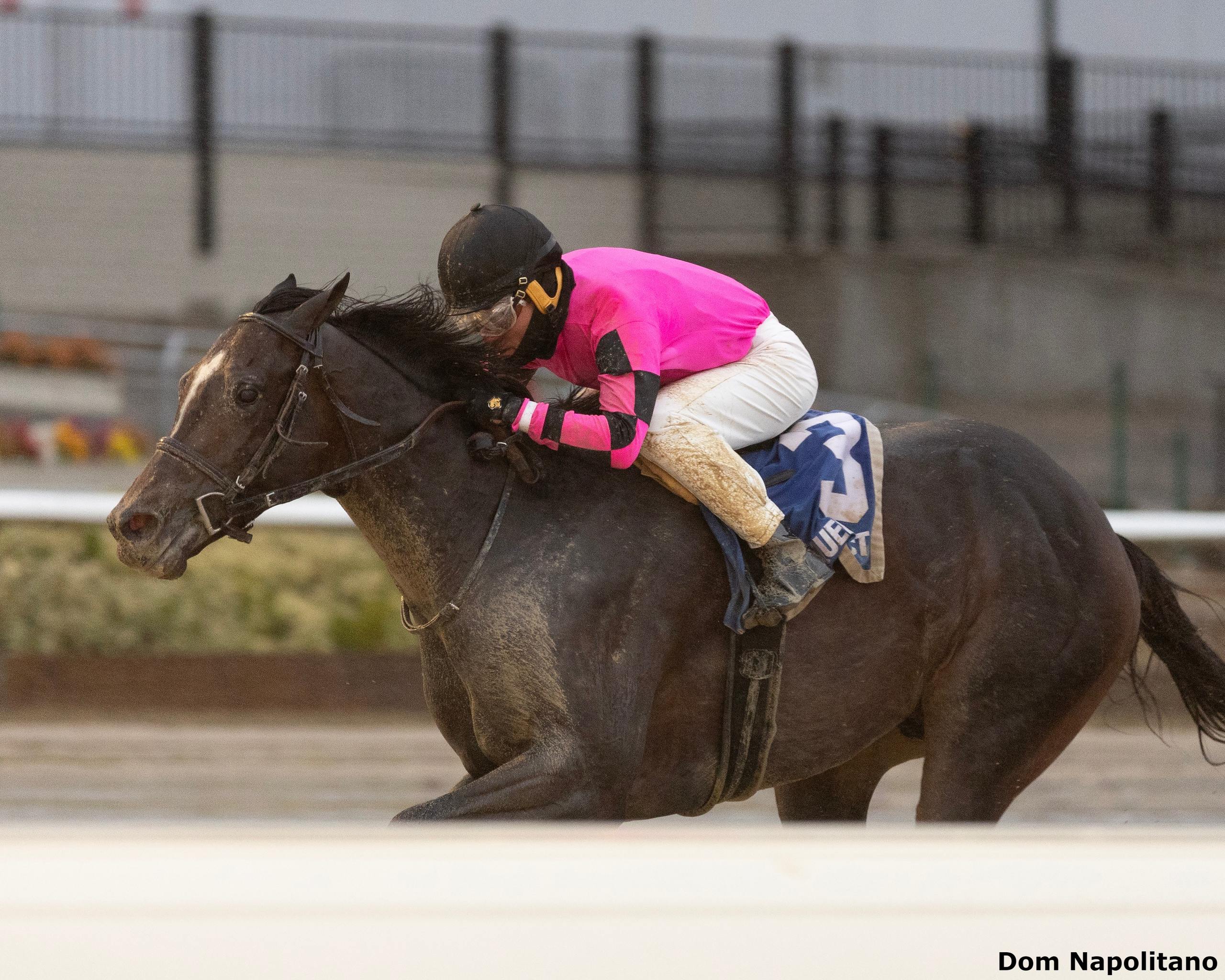 Gotham Winner Deterministic To Skip Kentucky Derby - Past The Wire