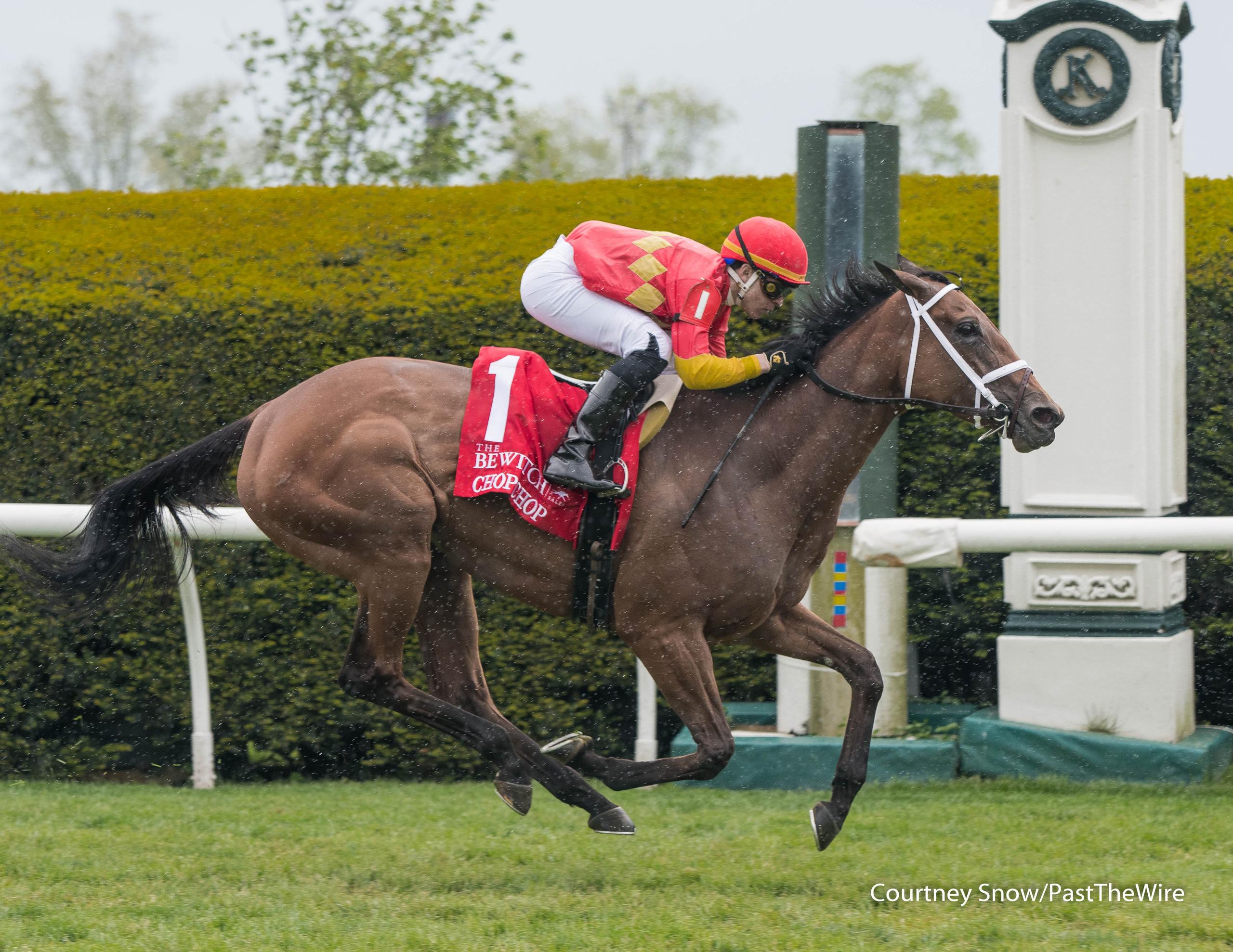 Chop Chop Makes the Grade in G3 Bewitch - Past The Wire