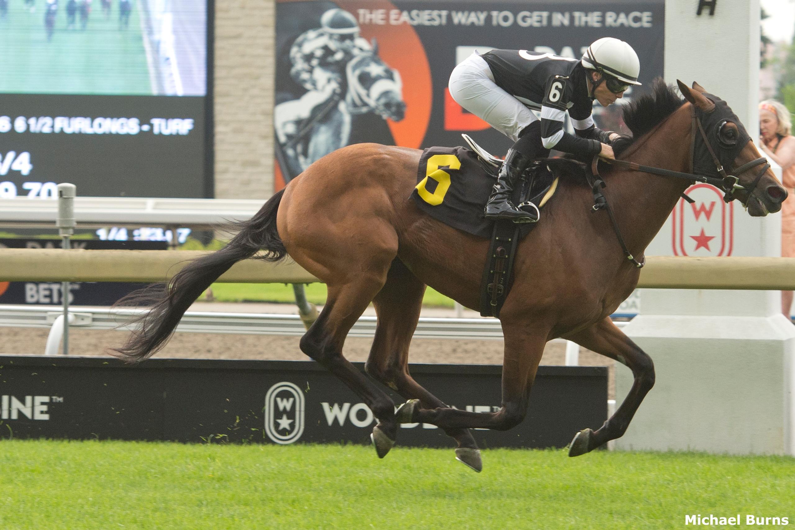 “Good-Natured” Tunechi Set for Woodstock Stakes Test - Past The Wire