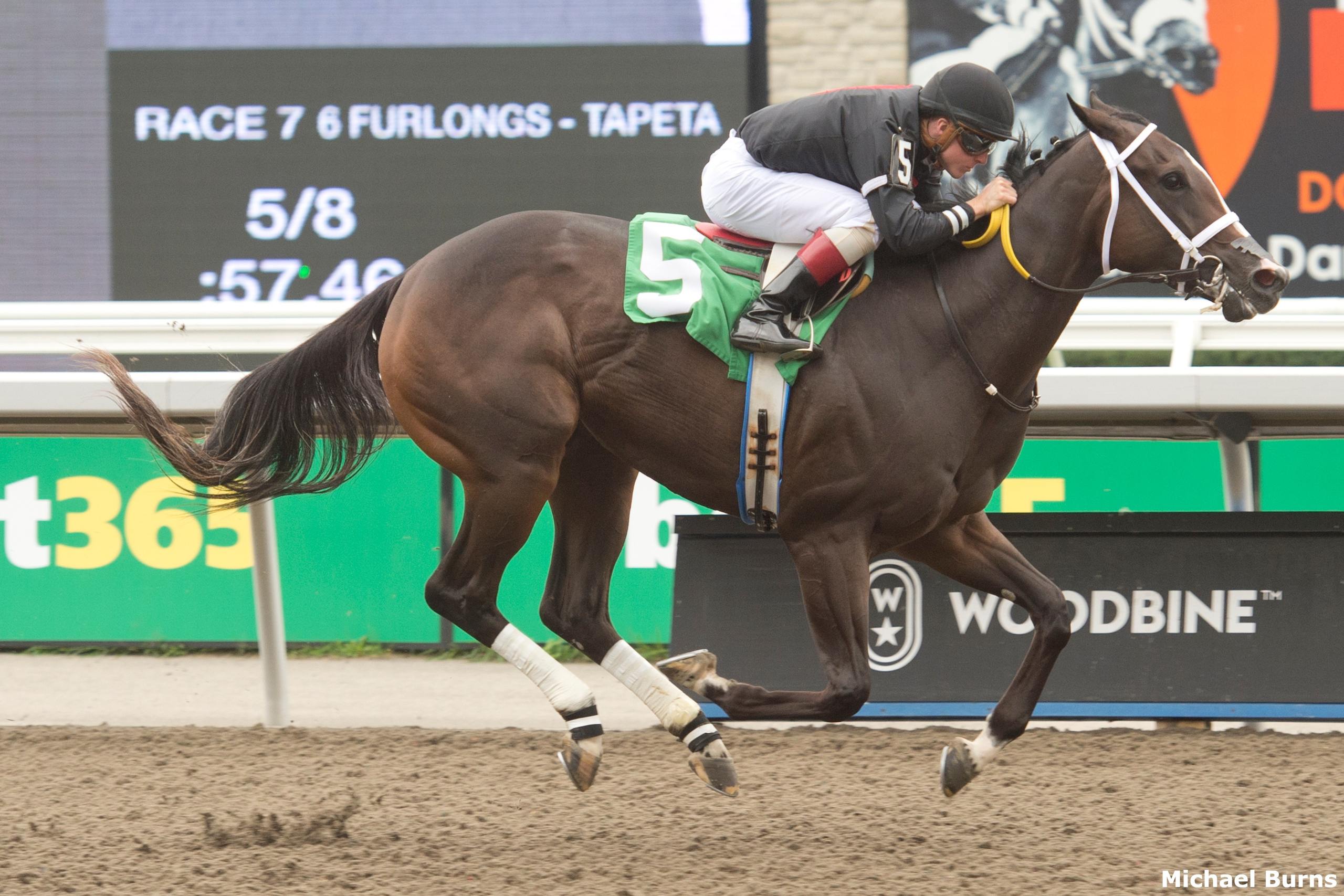 Star Shoot Headlines First Card of 2024 Woodbine Season - Past The Wire