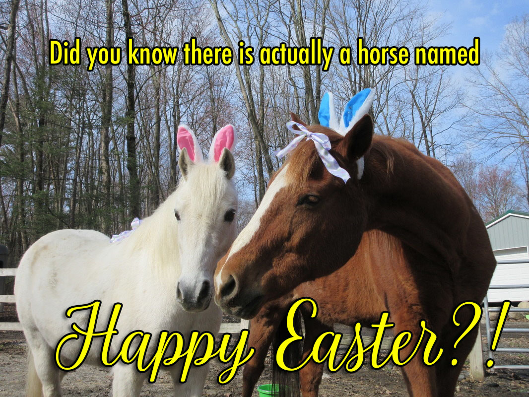 Happy Easter Equine Style! - Past The Wire