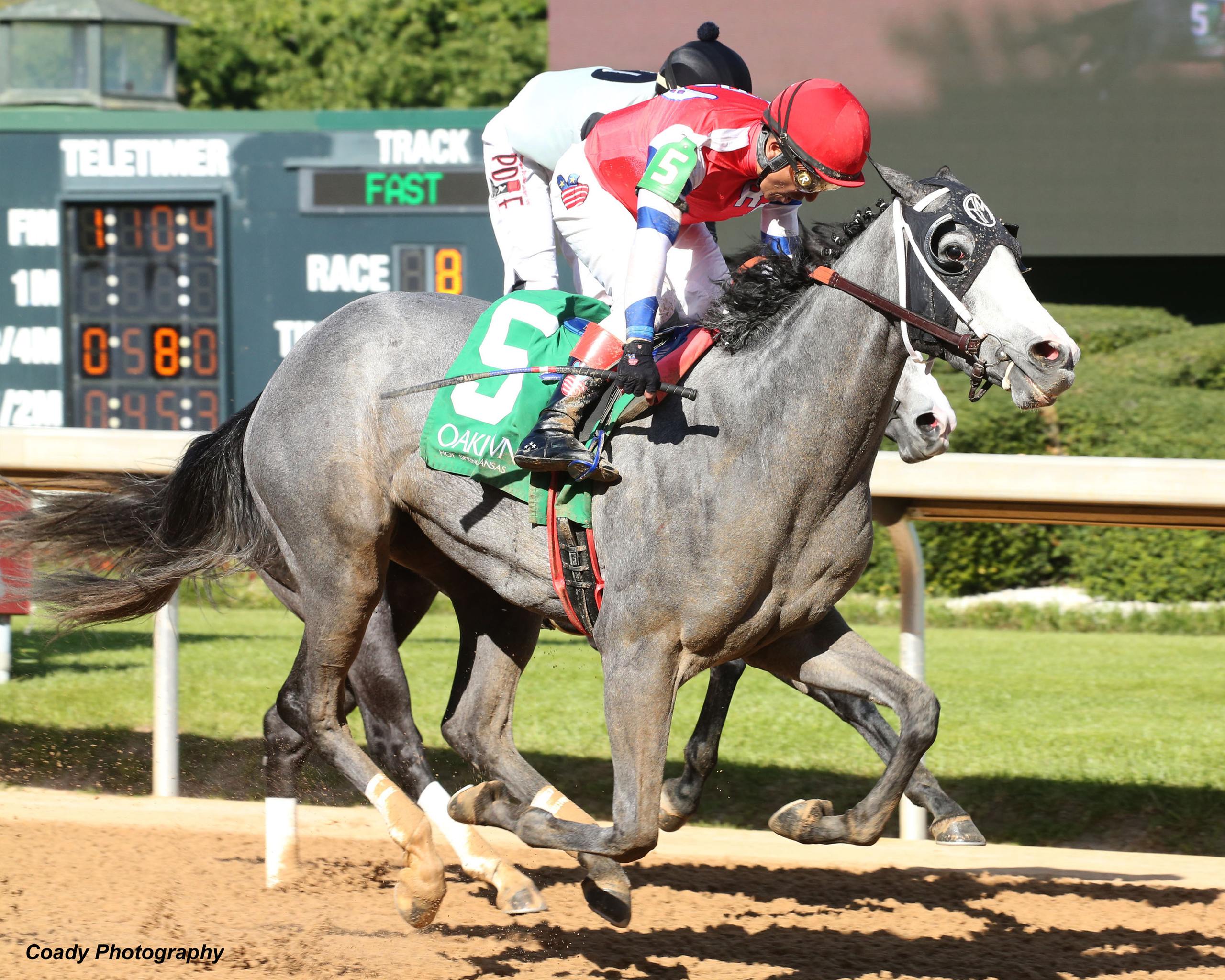 Hush It Honey Edges Fav in Rainbow Miss - Past The Wire