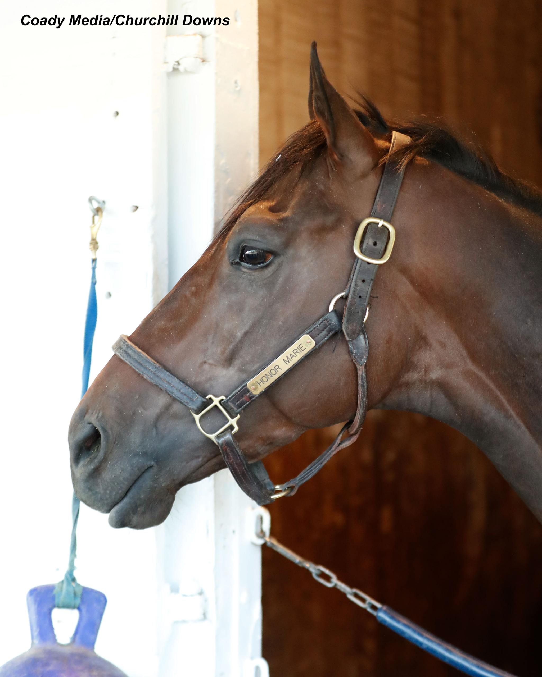 Honor Marie Heats Up Cool Morning With 5F Breeze - Past The Wire
