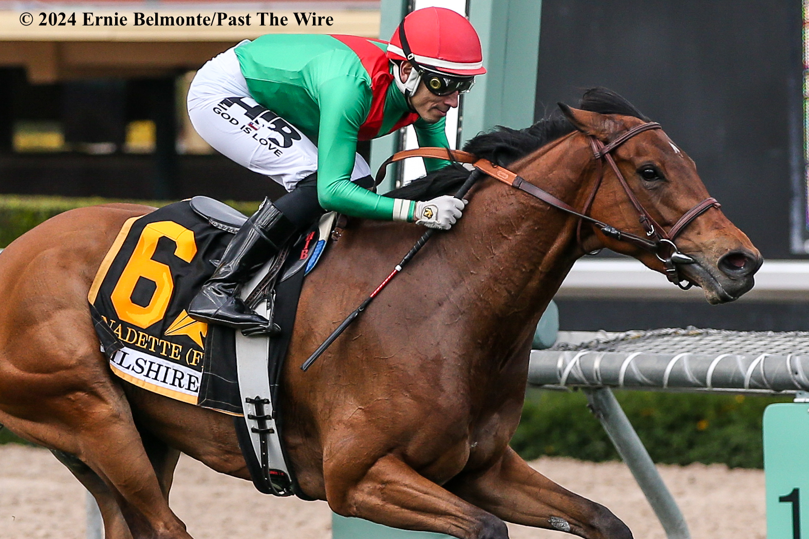 Nadette Breakthrough Victory In GIII, Wilshire - Past The Wire