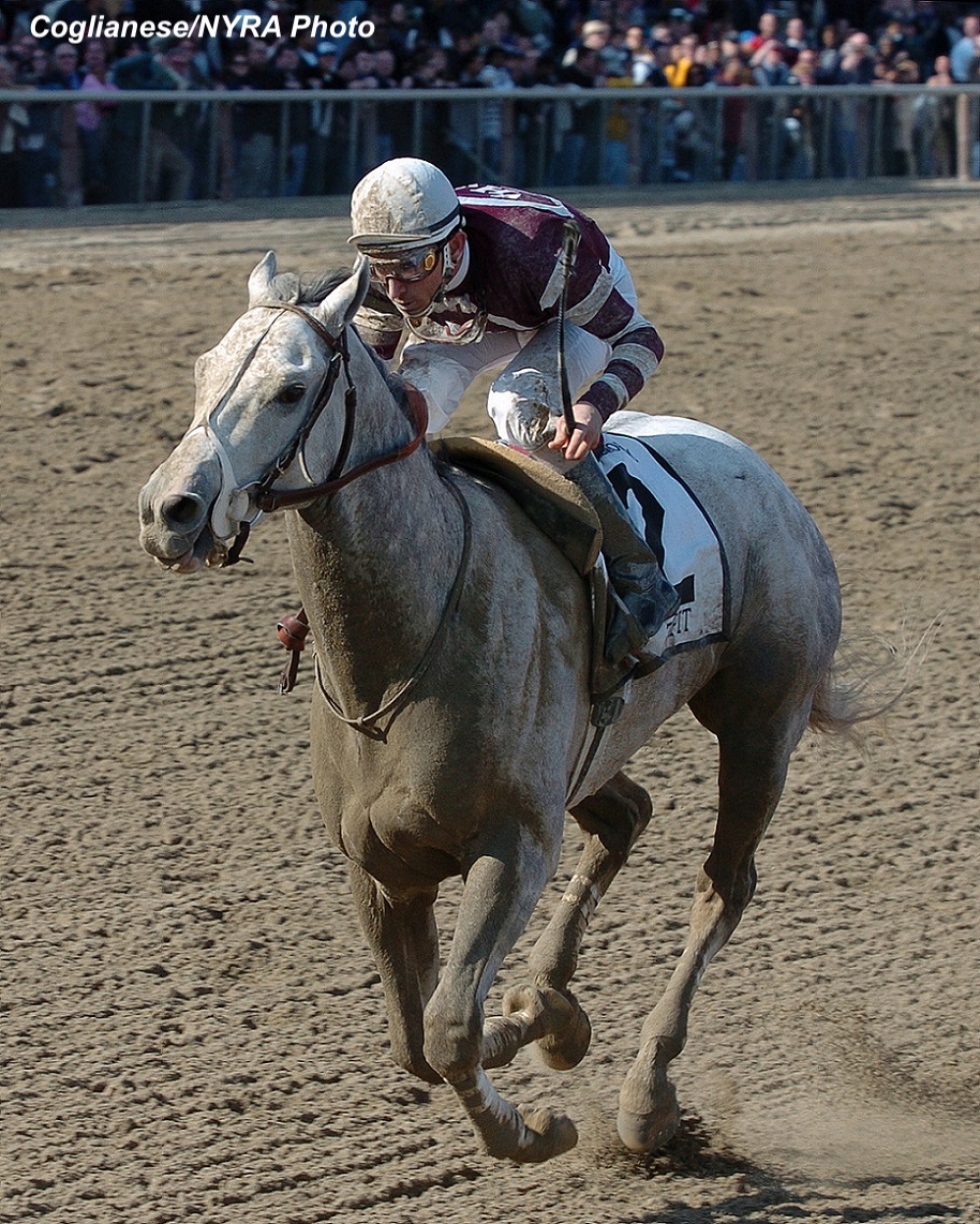 Before Tapit wasTapit - Past The Wire