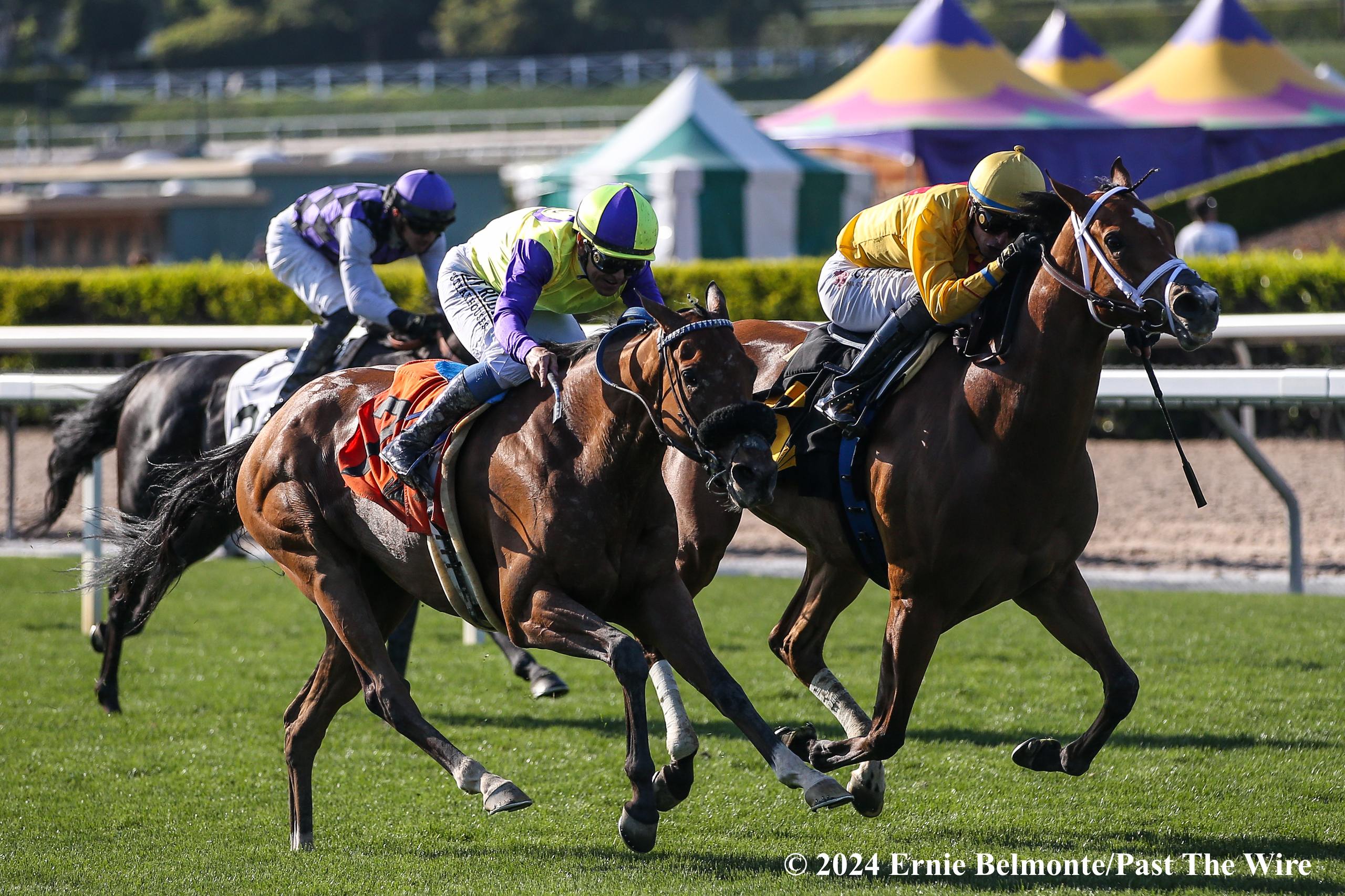 Musical Rhapsody Triumphs by a Nose in Santa Barbara - Past The Wire