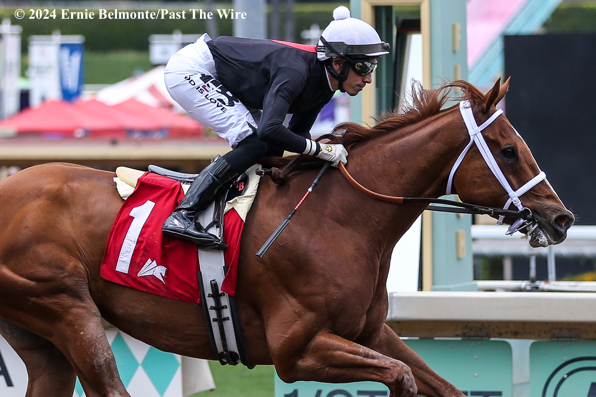 The Chosen Vron Scores 17th Stakes Win in Thor’s Echo - Past The Wire