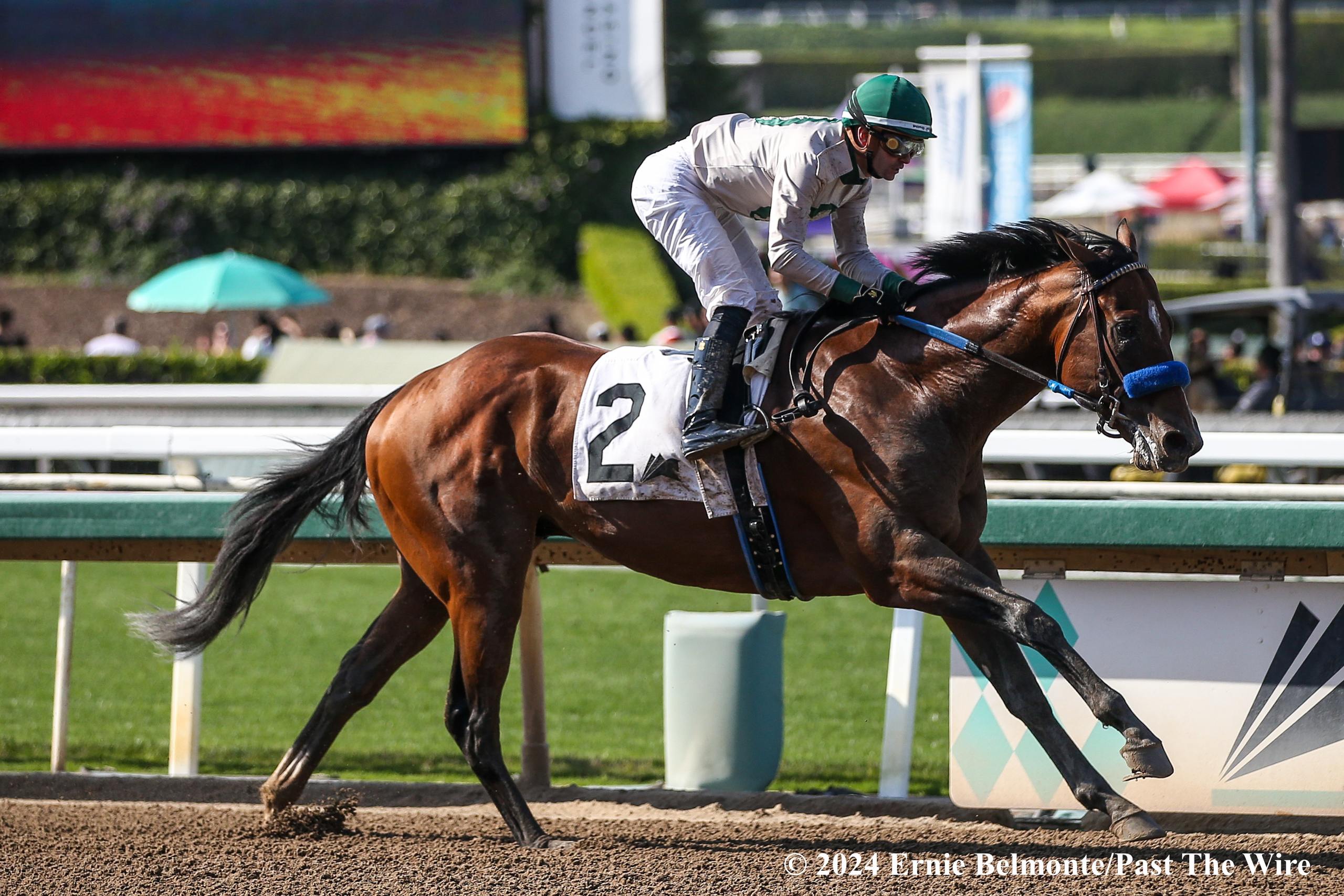 Eagles Flight, Half-Brother to Flightline, Scores on Debut - Past The Wire
