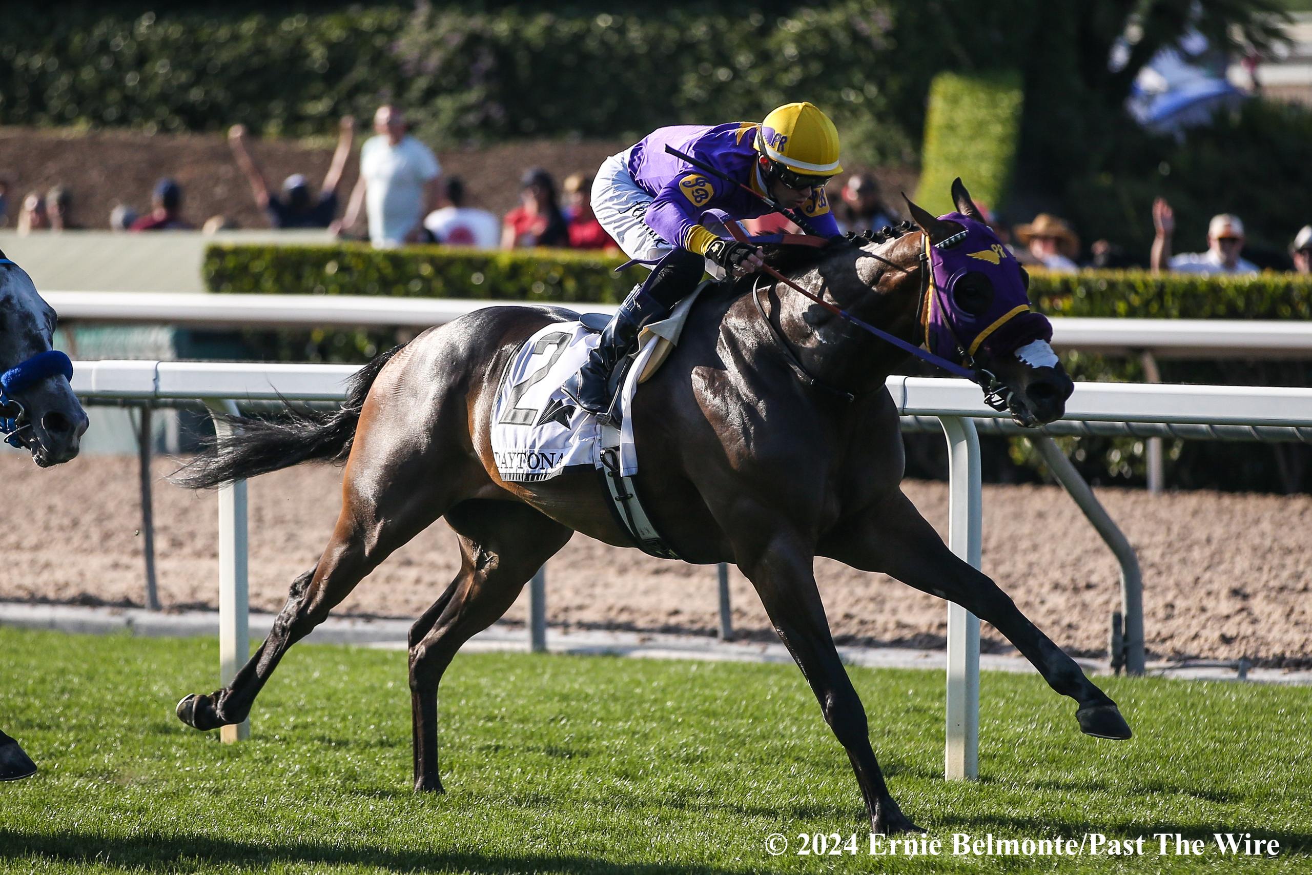 the level of adrenalin horse racing creates. - Past The Wire